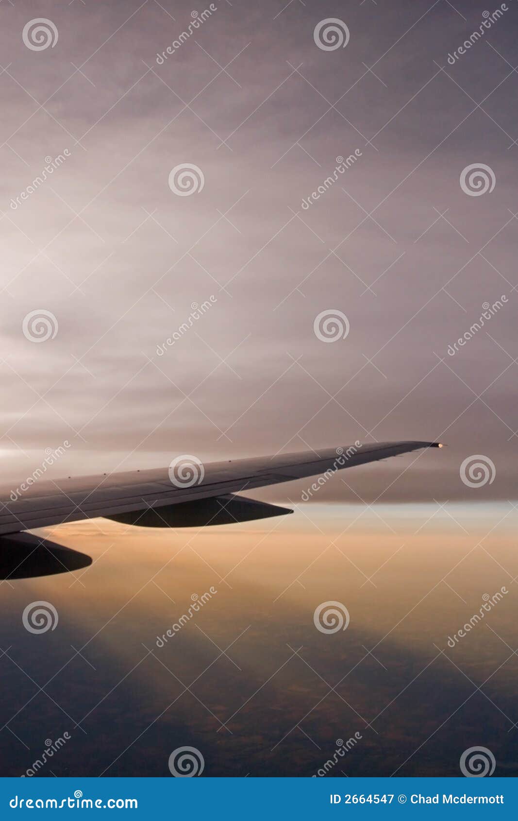174 Wing Tanks Photos - Free & Royalty-Free Stock Photos from Dreamstime