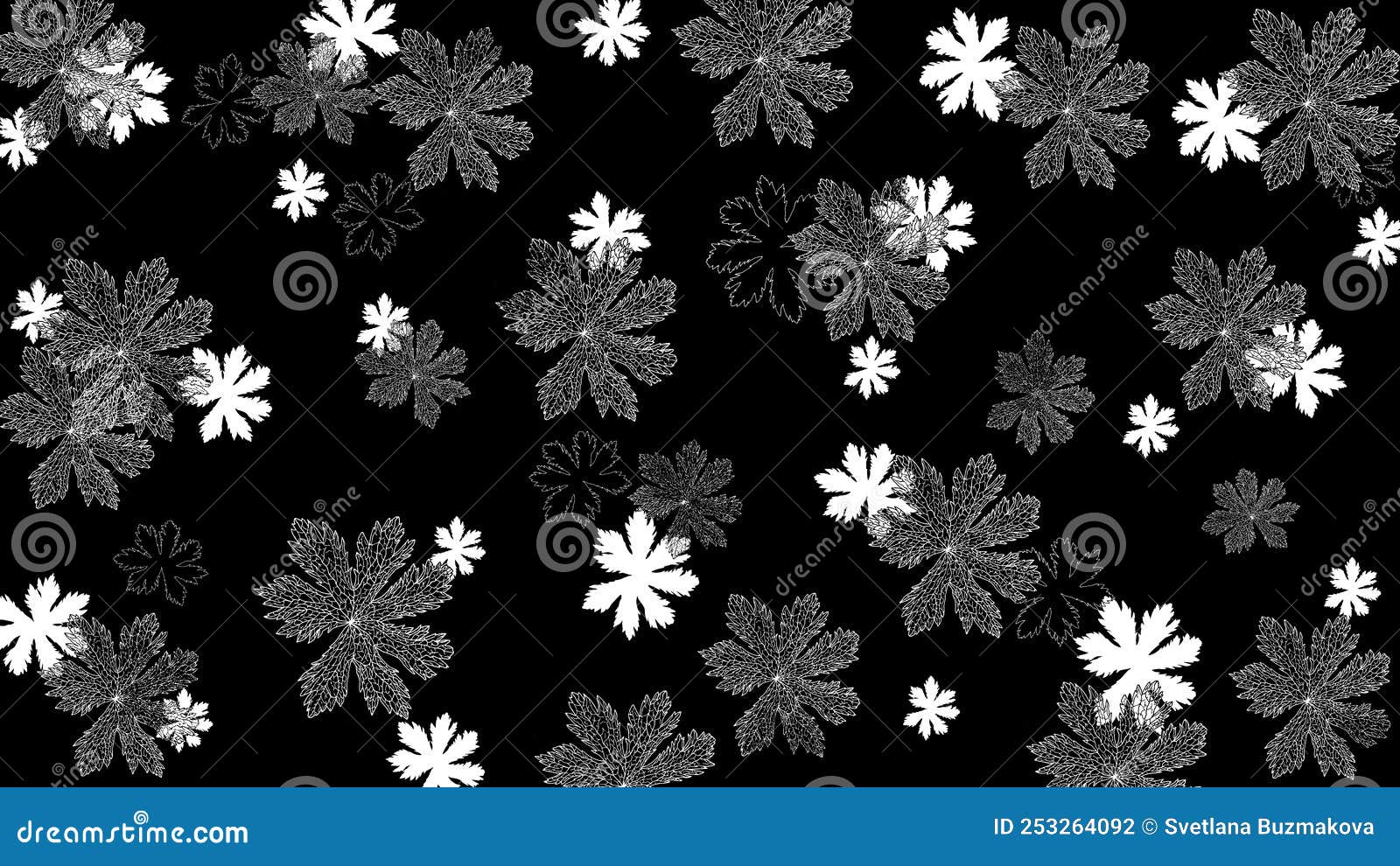 Airy Pattern of Leaves on a Black Background. Abstract Monochrome ...