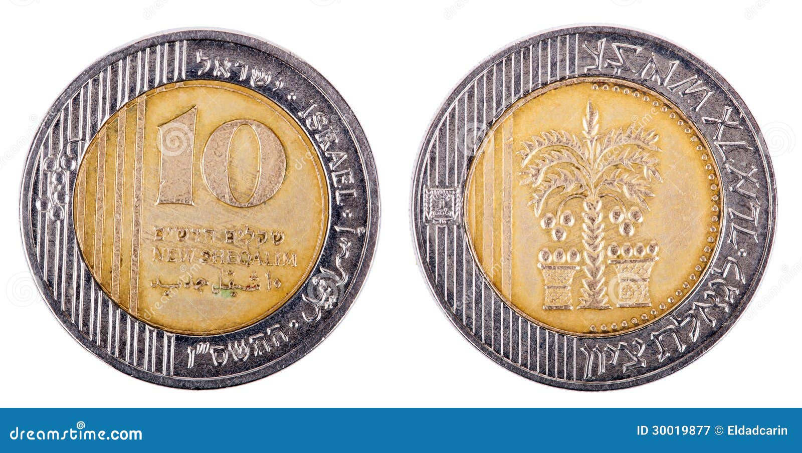 Aislado 10 Shekels - Ambos Lados Frontales Imagen de archivo - Imagen ...