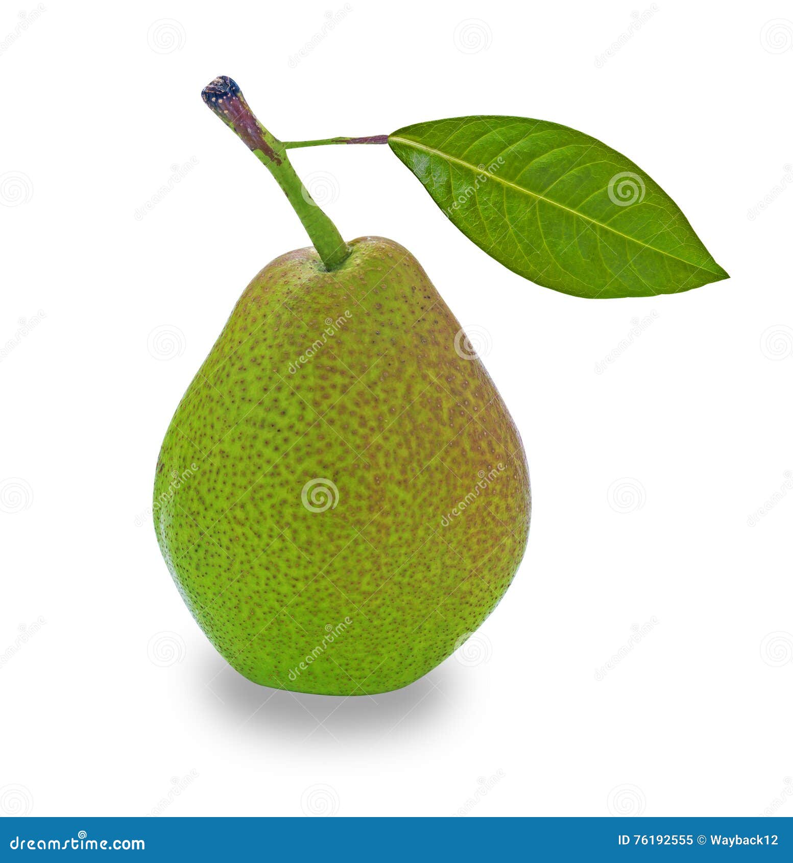 Aislante De La Pera En El Fondo Blanco Imagen de archivo - Imagen de ...