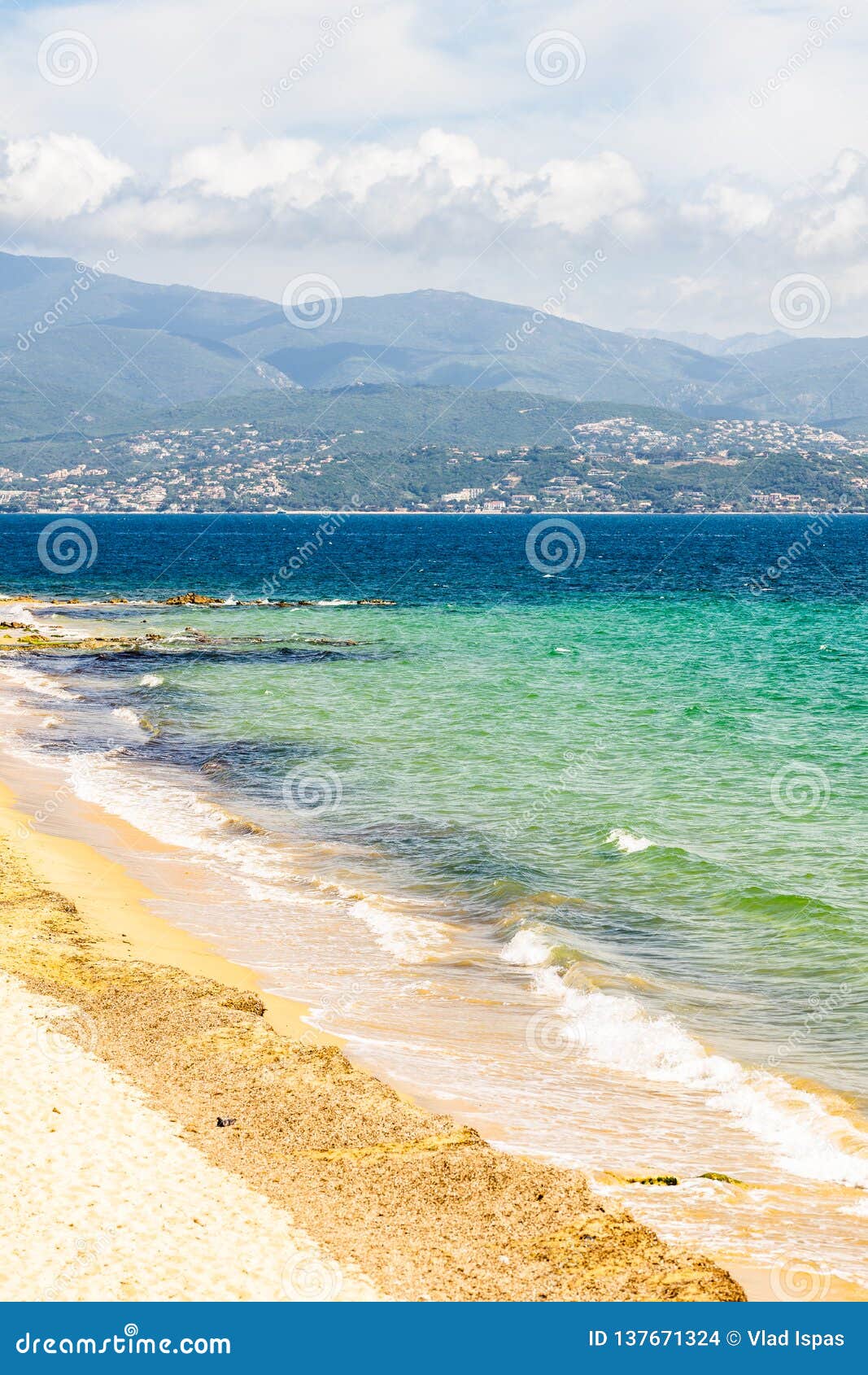 Ajaccio Old City Center Coastal Cityscape with Palm Trees and Typical ... Ajaccio Old City Center Coastal Cityscape with Palm Trees and Typical ...