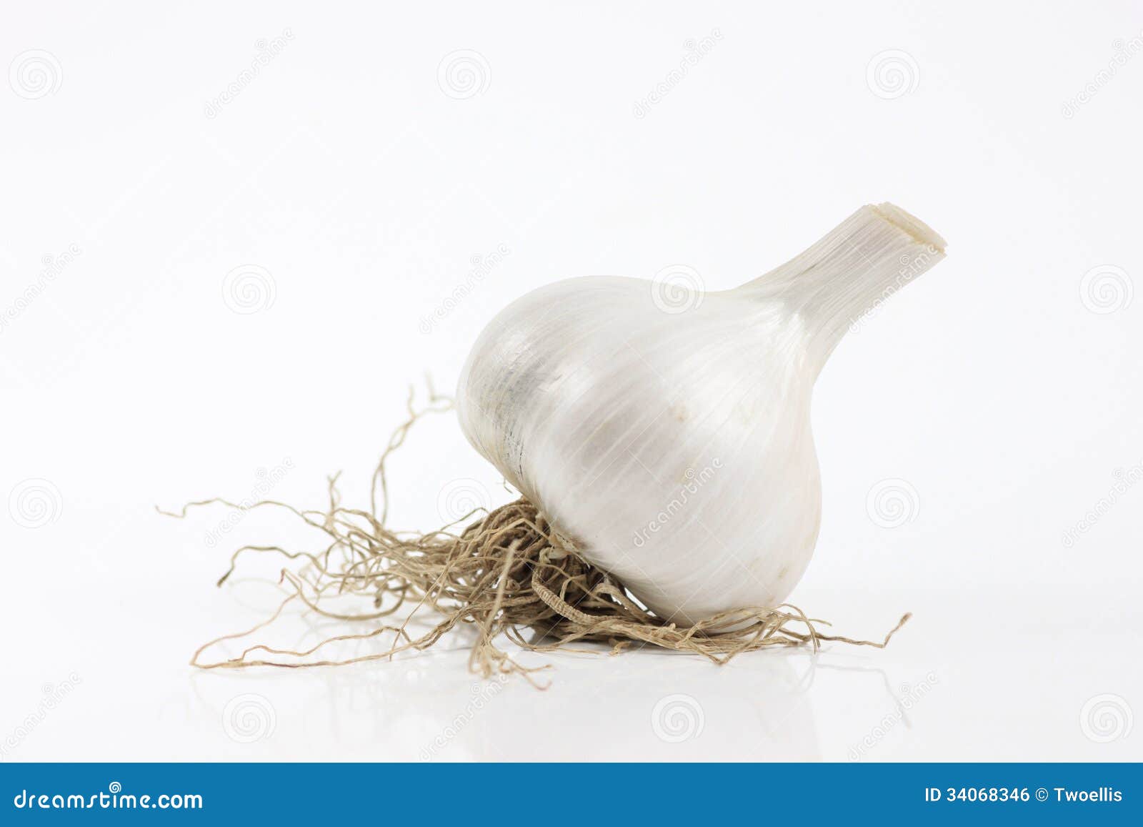 Ajo con la raíz foto de archivo. Imagen de hierba, especia - 34068346