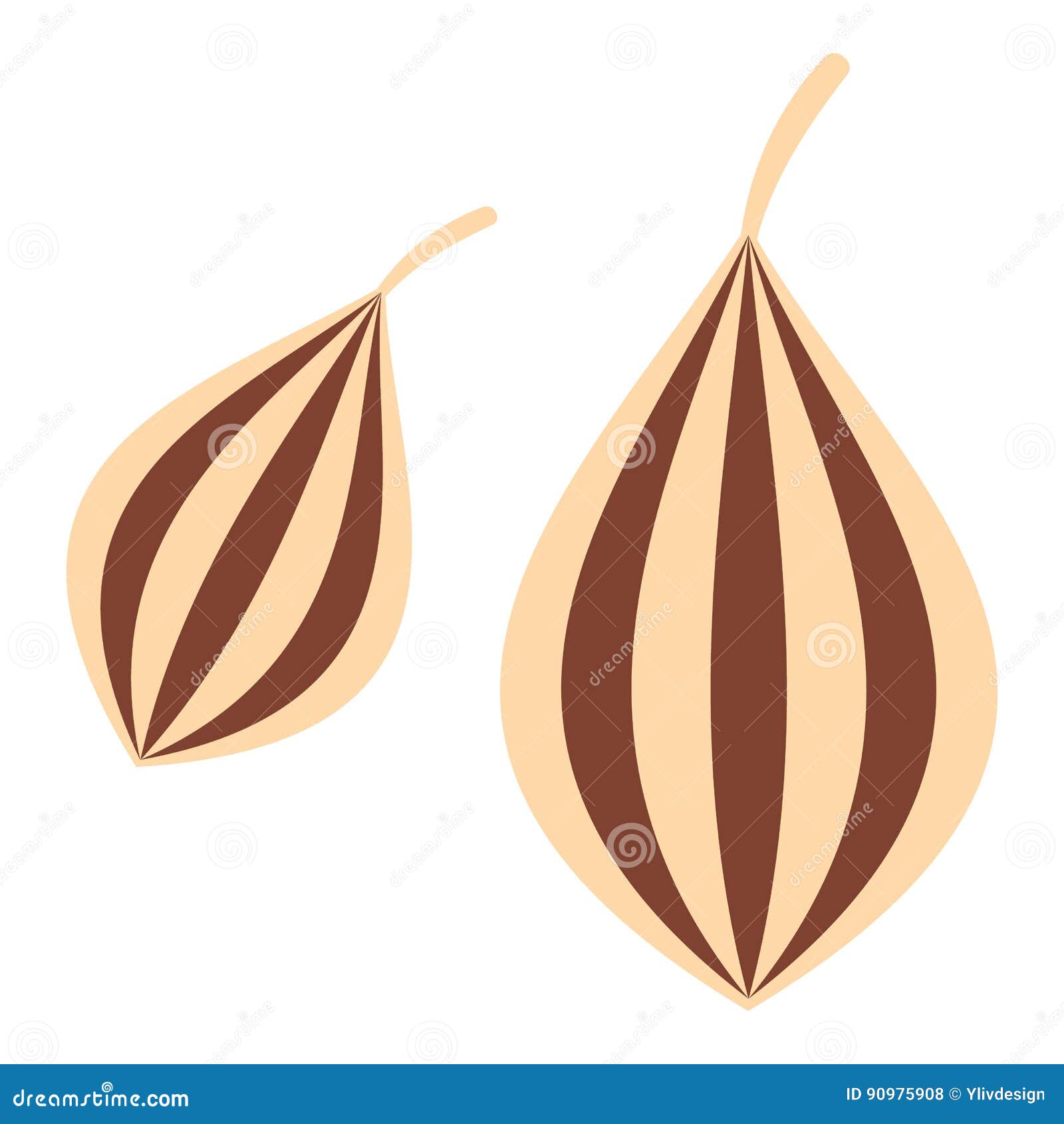 Ajwain icon isolated stock vector. Illustration of brahmi - 90975908