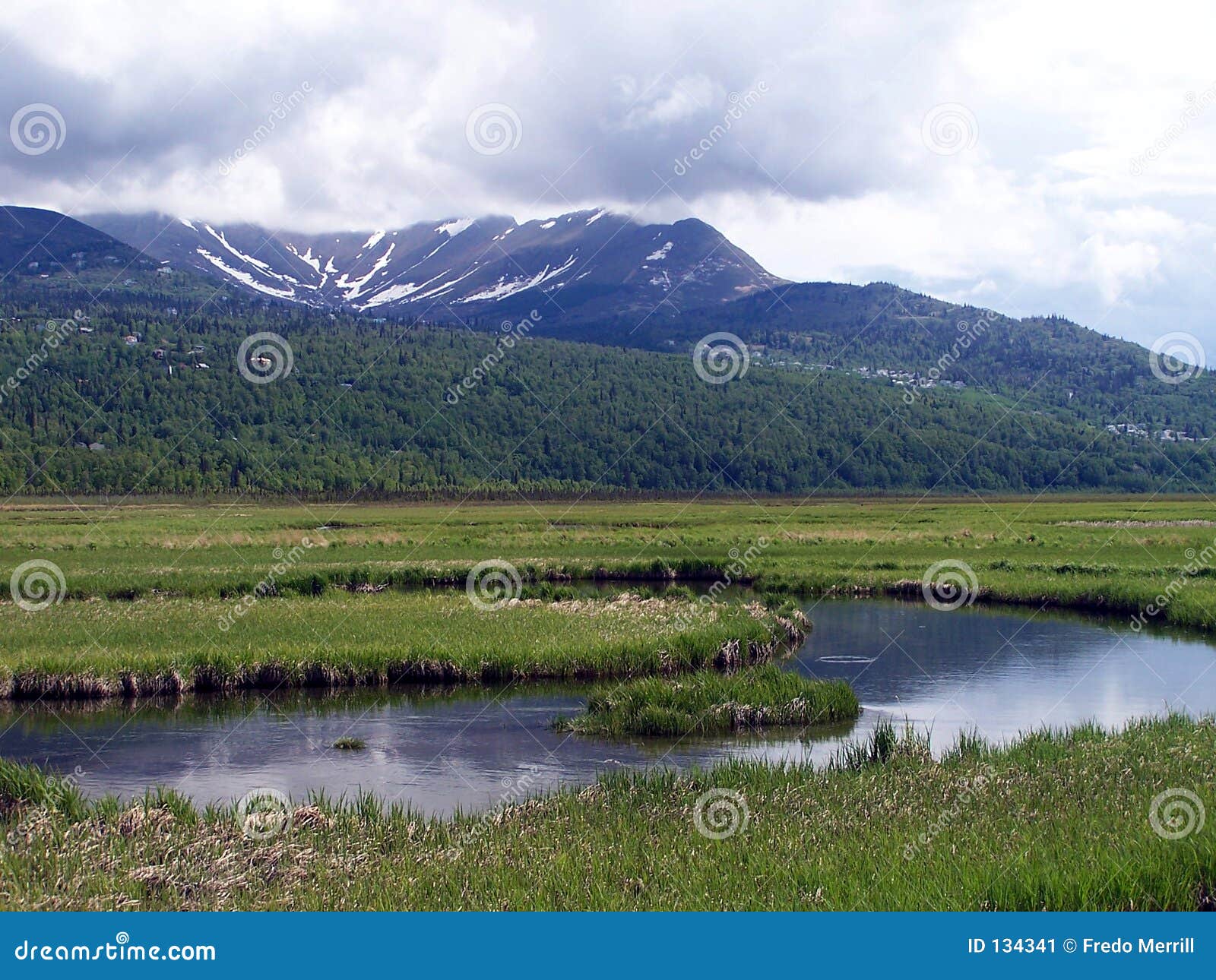 AK Park stock image. Image of beautiful, park, parks, alaska - 134341