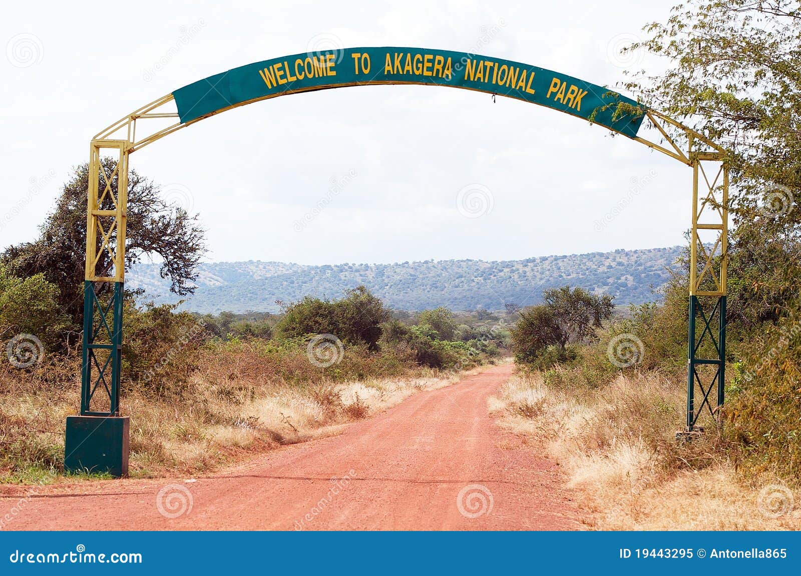 Akagera National Park stock image. Image of lake, tourism - 19443295