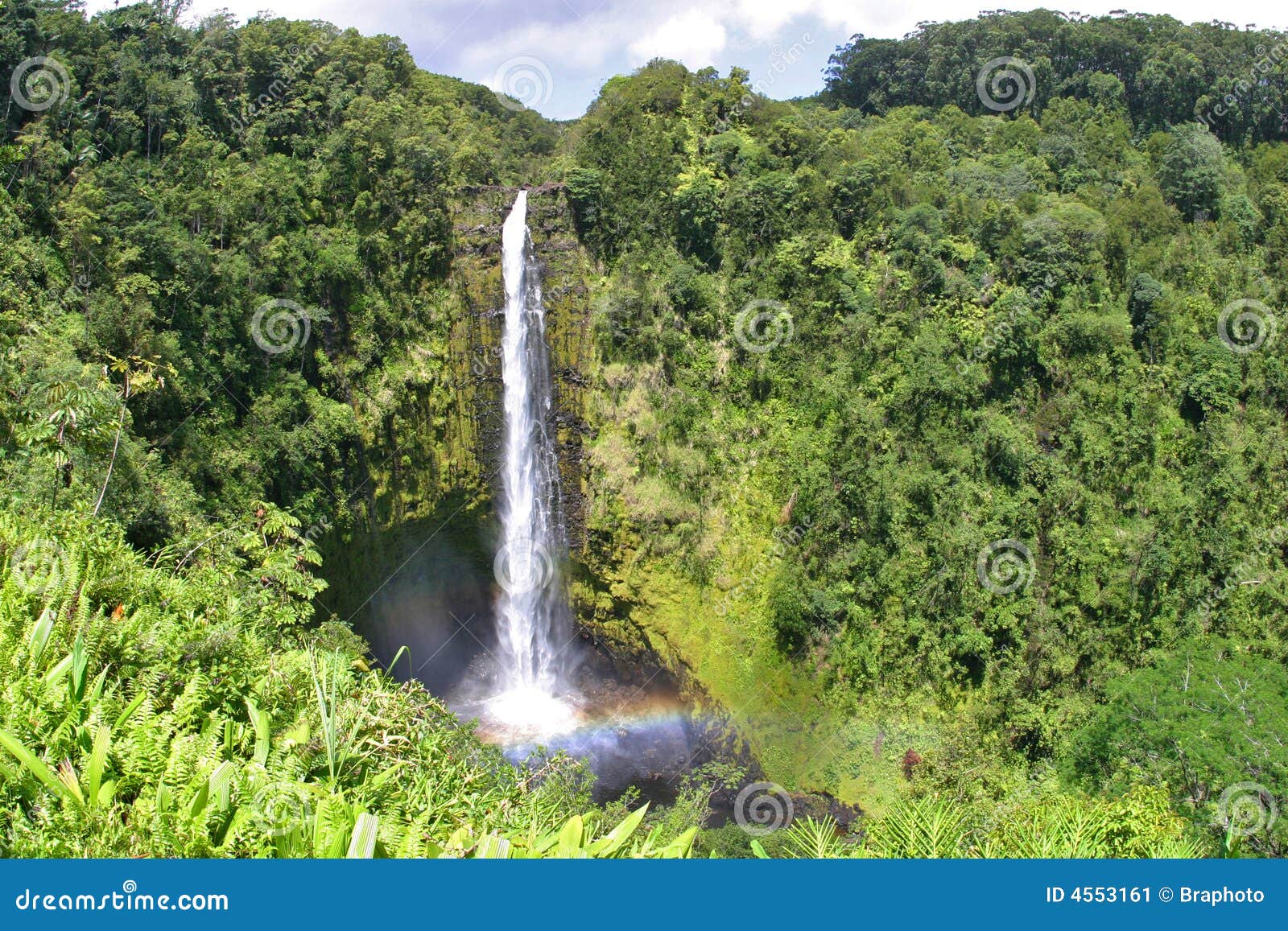 Akaka Fall Picture. Image: 4553161