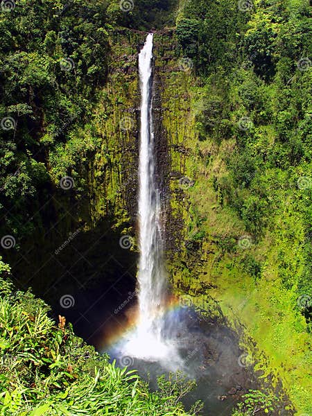 Akaka Falls stock photo. Image of rainbow, falling, water - 330480