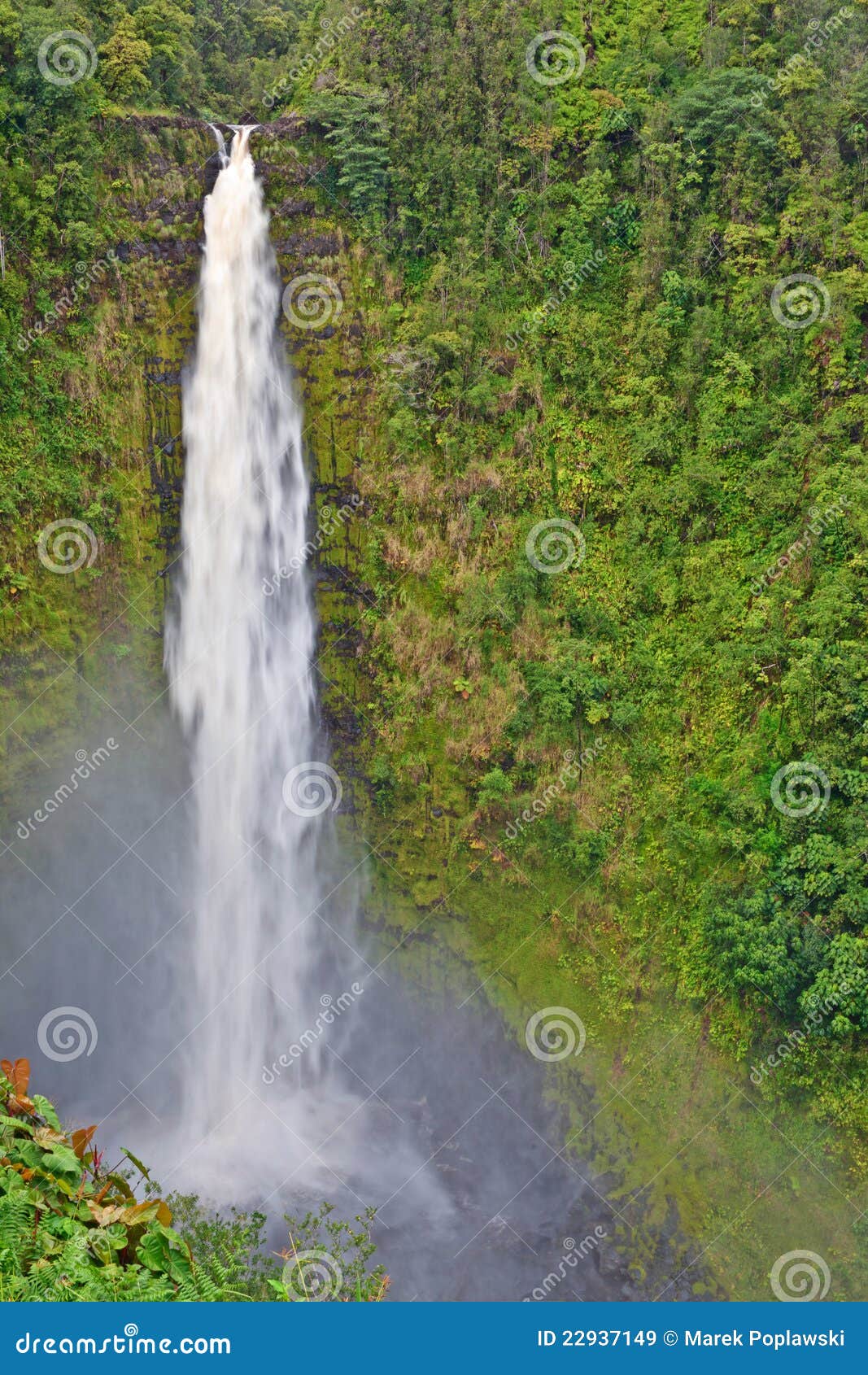Akaka Falls, Big Island, Hawaii Stock Image - Image of river, large ...