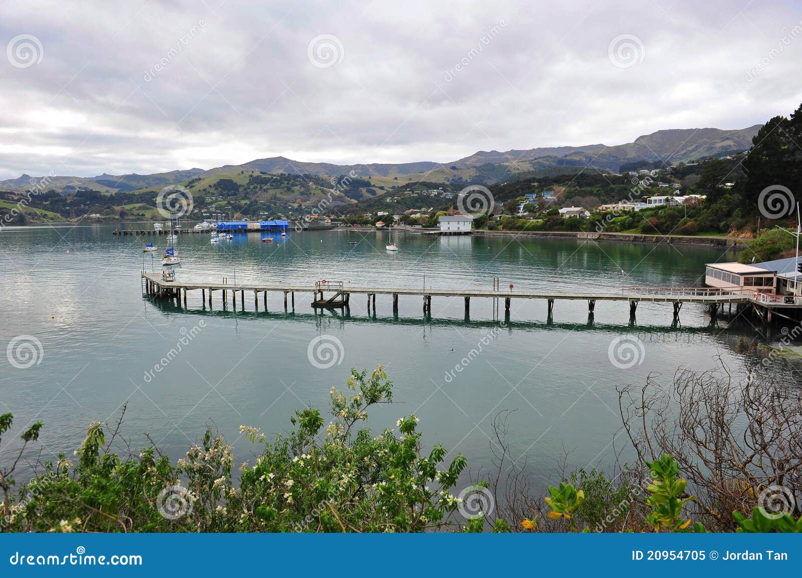 Akaroa Harbor stock image. Image of hill, jetty, nature - 20954705