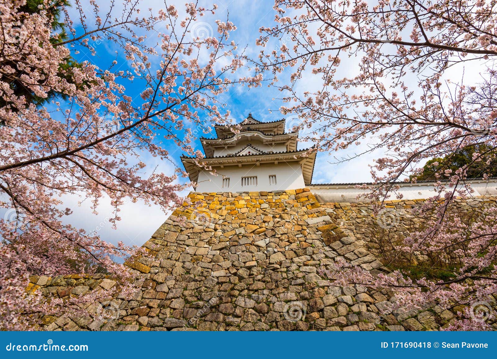 Hyogo, Japan - Graves Of Asano Clan At Kagakuji Temple In Ako, Hyogo ...