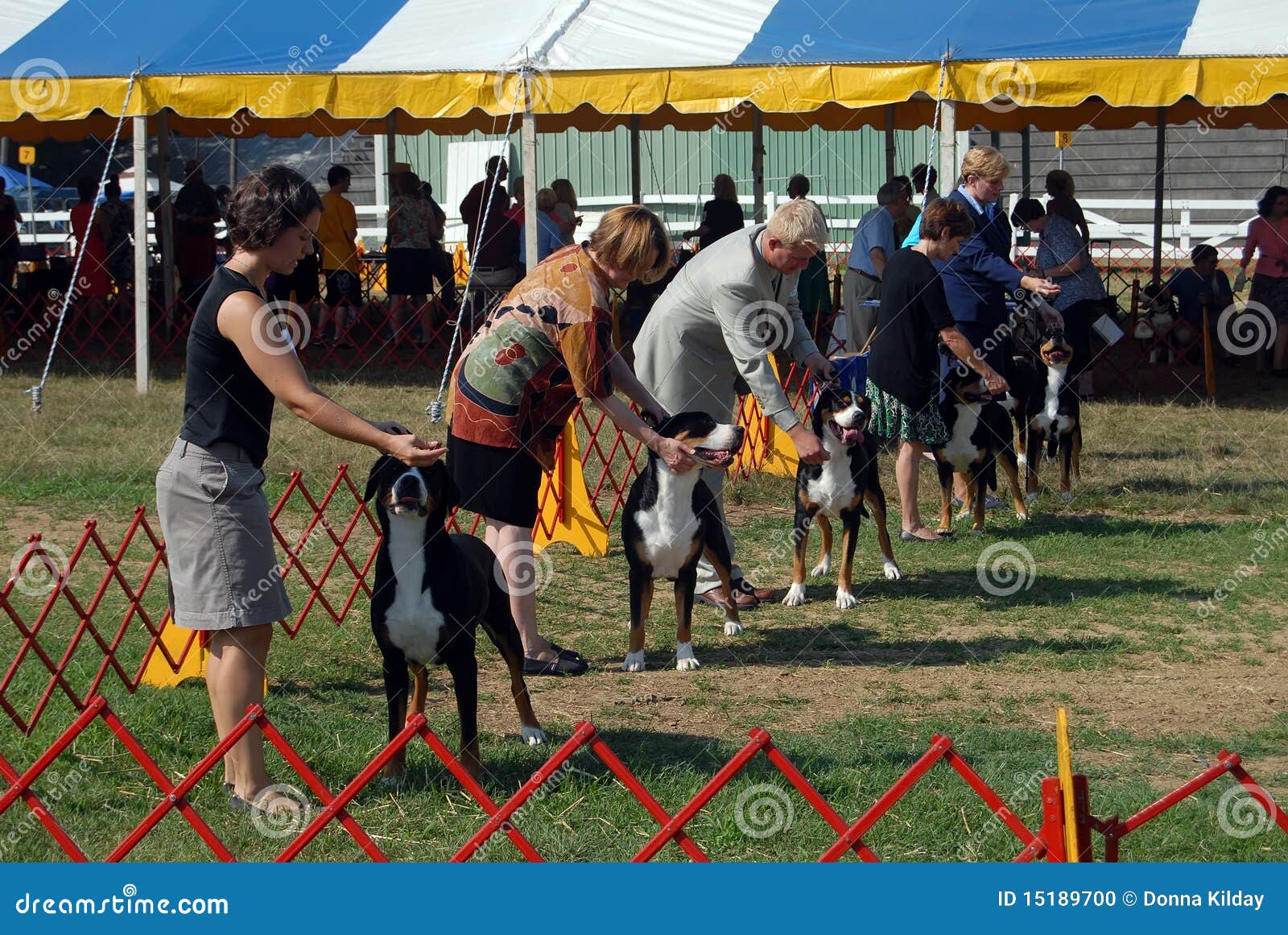 AKC Dog Show editorial image. Image of show, fence, event - 15189700