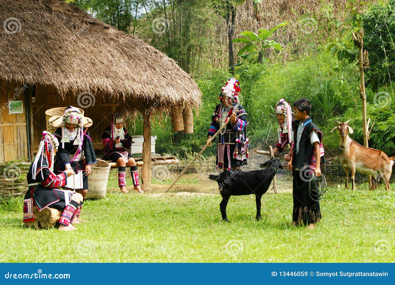 Akka Hill tribe editorial stock image. Image of work - 13446059