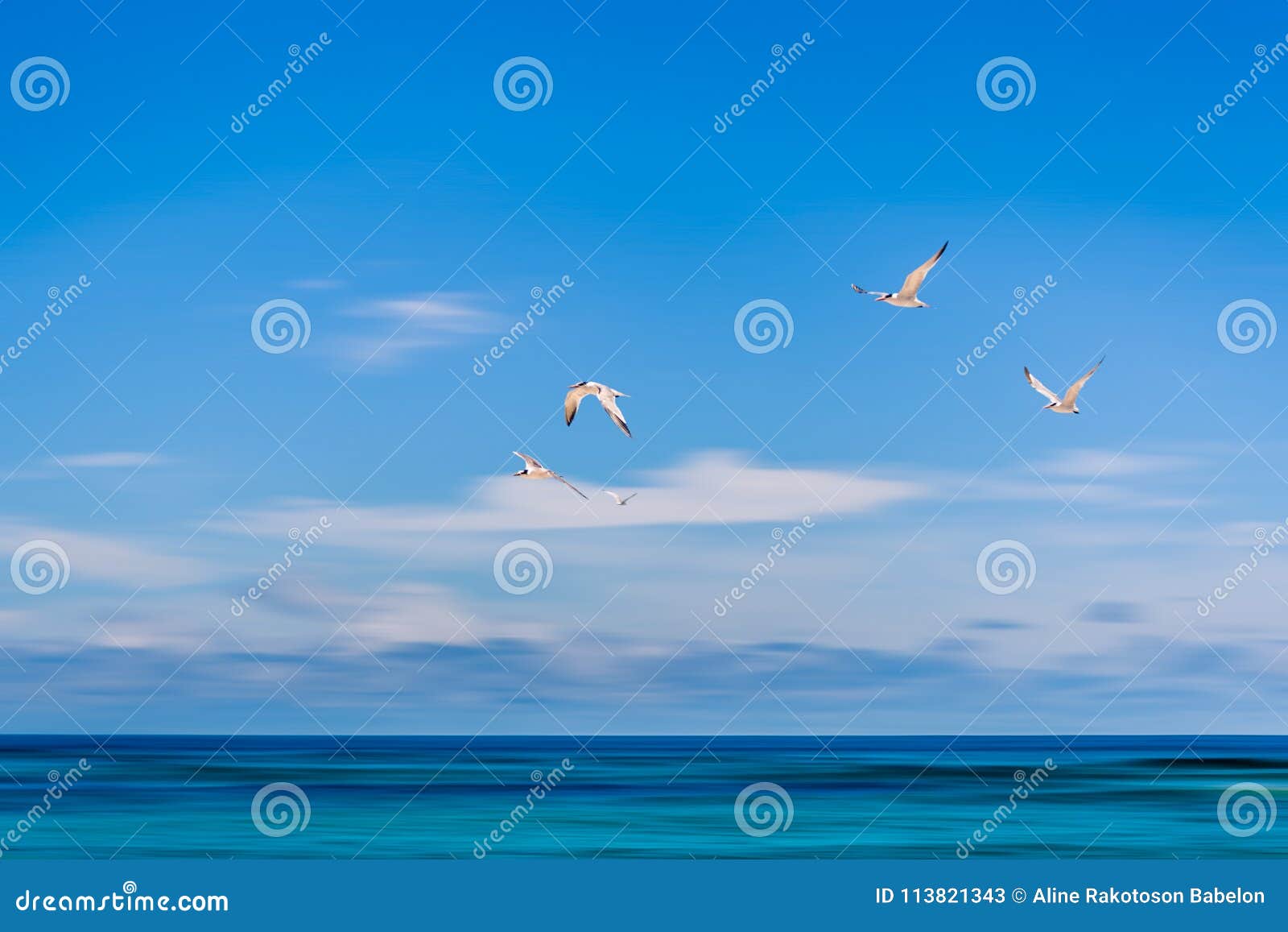 Akter fotografering för bildbyråer. Bild av fritt, oklarheter - 113821343