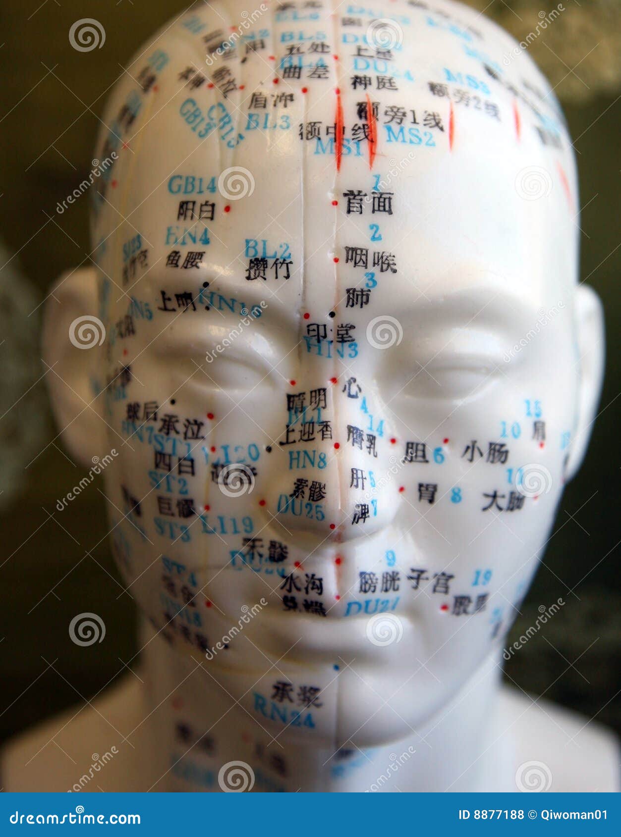 Akupunktur-Gesichtsbehandlung-Punkte Stockfoto - Bild von führungen ...