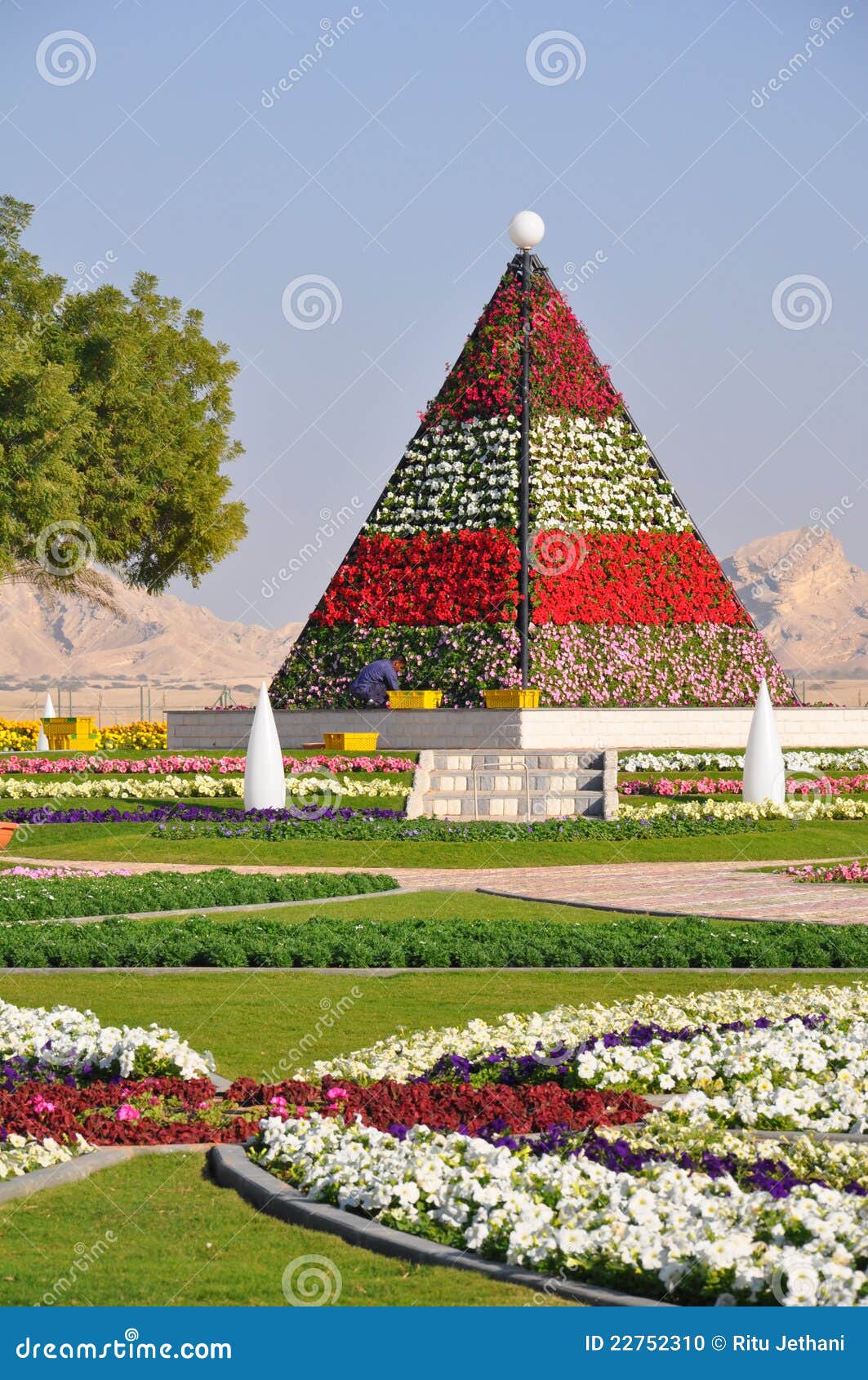Al Ain Paradise Gardens stock photo. Image of blossom - 22752310