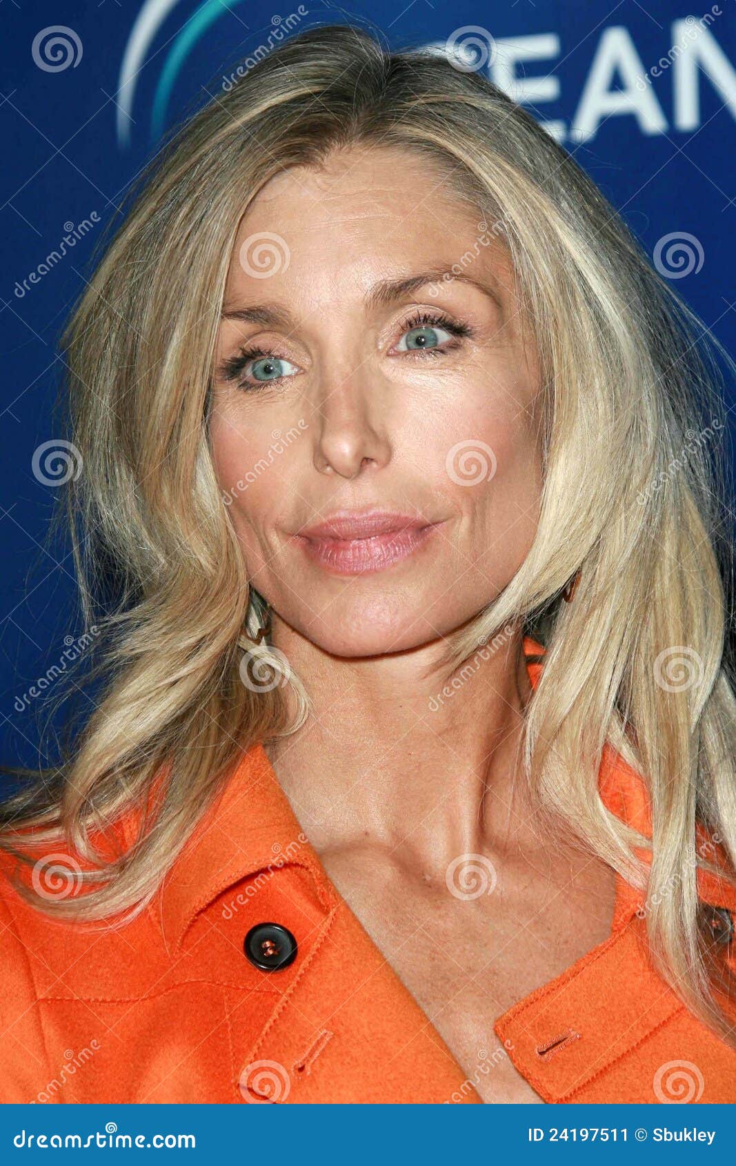 Heather Thomas On The Red Carpet. Editorial Photo | CartoonDealer.com ...