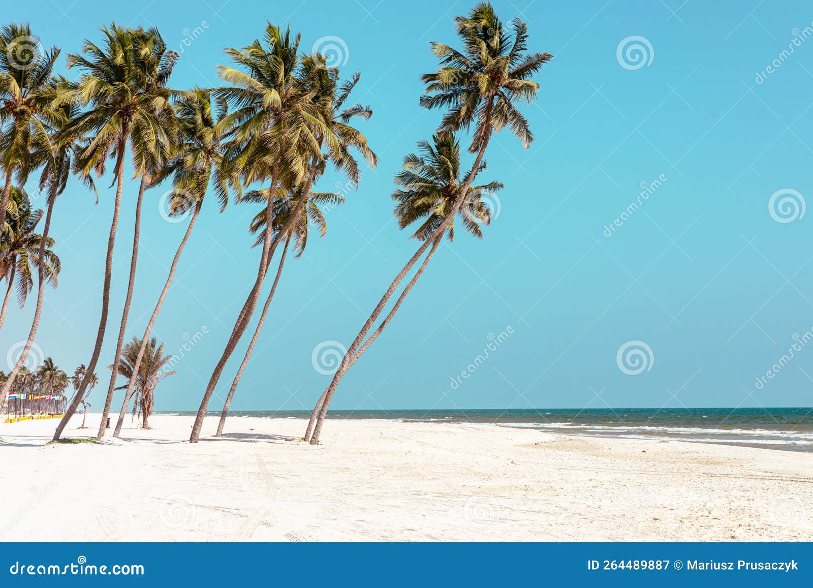Al Haffa Beach at Salalah, Sultanate of Oman. Stock Image - Image of ...