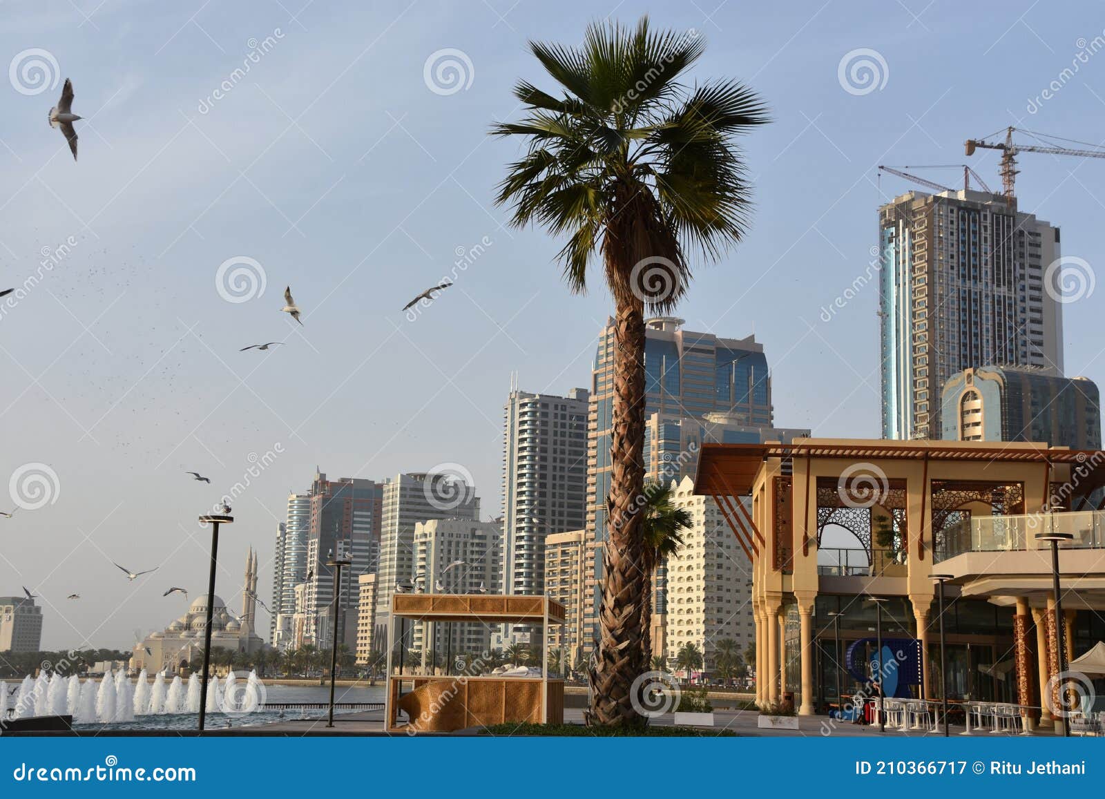 Al Majaz Waterfront in Sharjah, UAE Editorial Photography - Image of ...