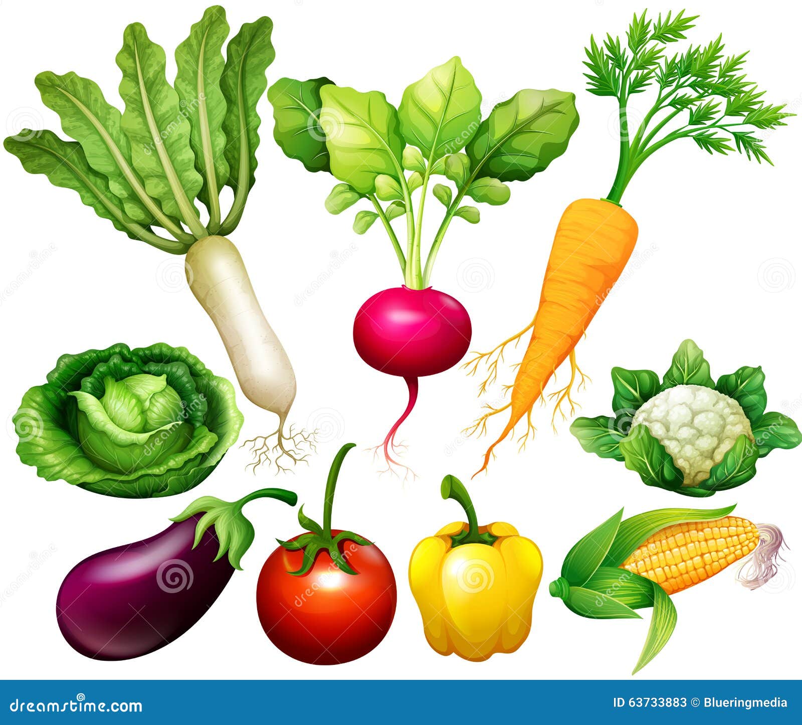 Al soort groenten vector illustratie. Illustration of graan - 63733883