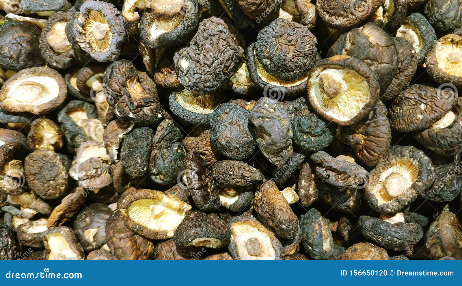 Al Supermercato Vendono Funghi Secchi Fotografia Stock - Immagine di ...