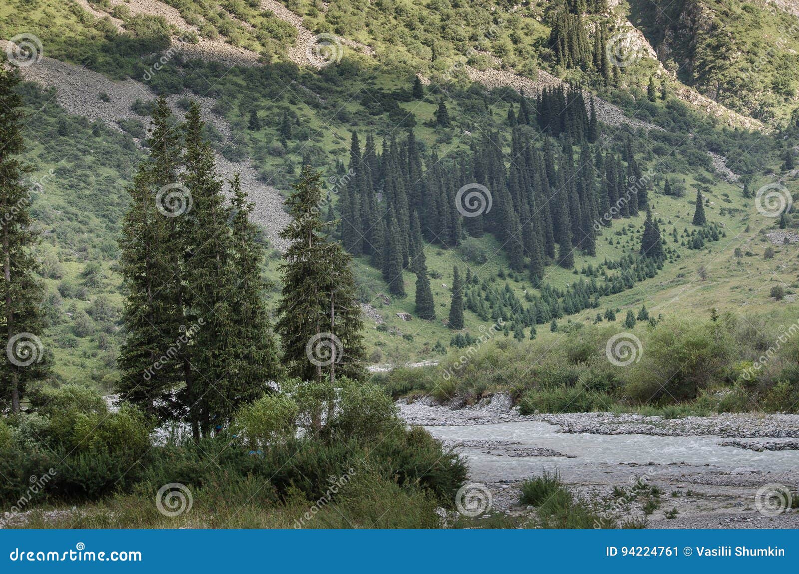 Ala-Archa Gorge stock image. Image of lonely, nomads - 94224761