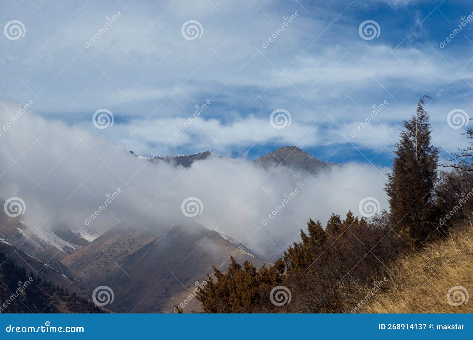 Ala-Archa River Wooded Mountain Gorge Stock Image - Image of outdoor ...
