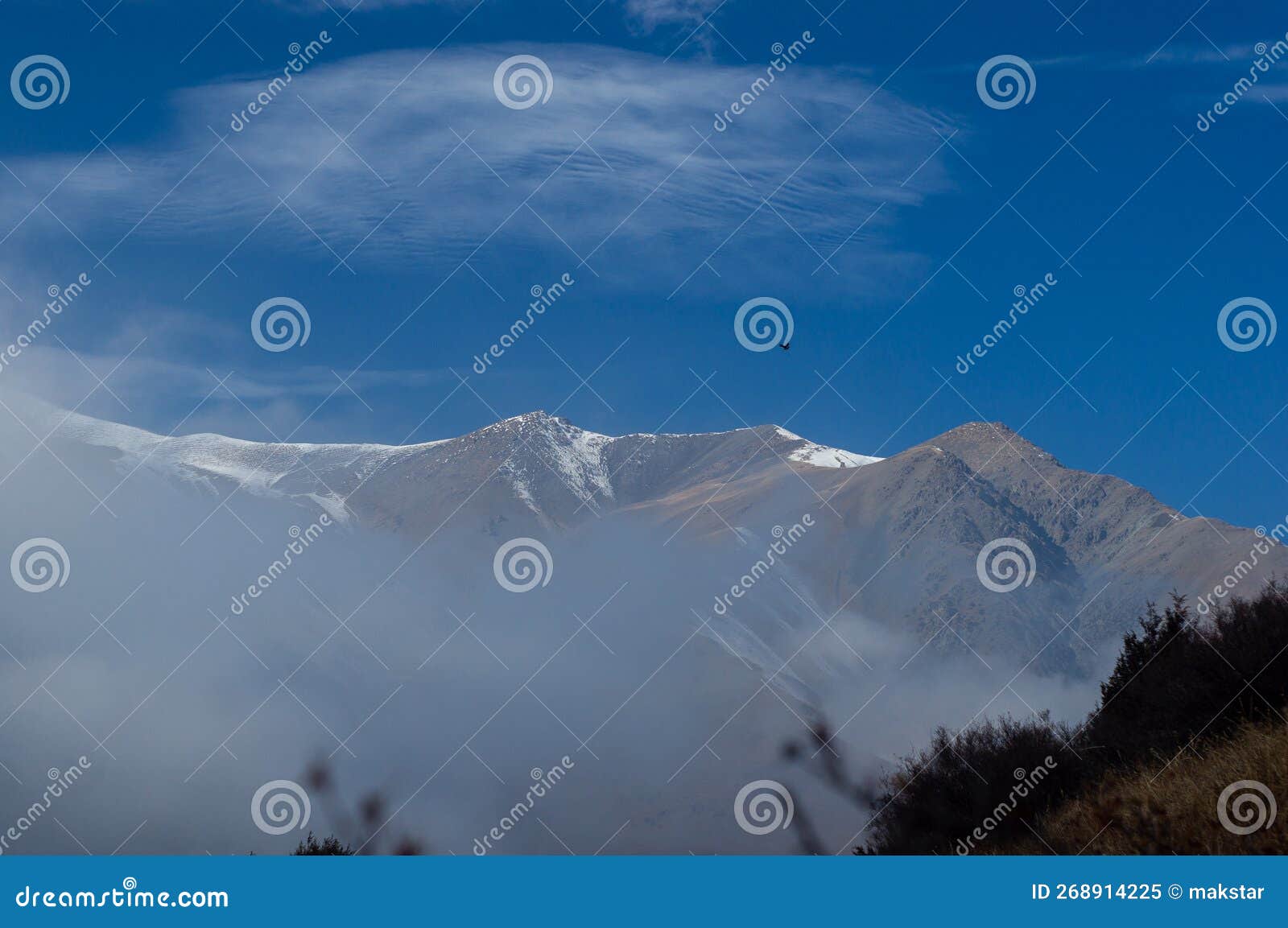 Ala-Archa River Wooded Mountain Gorge Stock Image - Image of scenery ...
