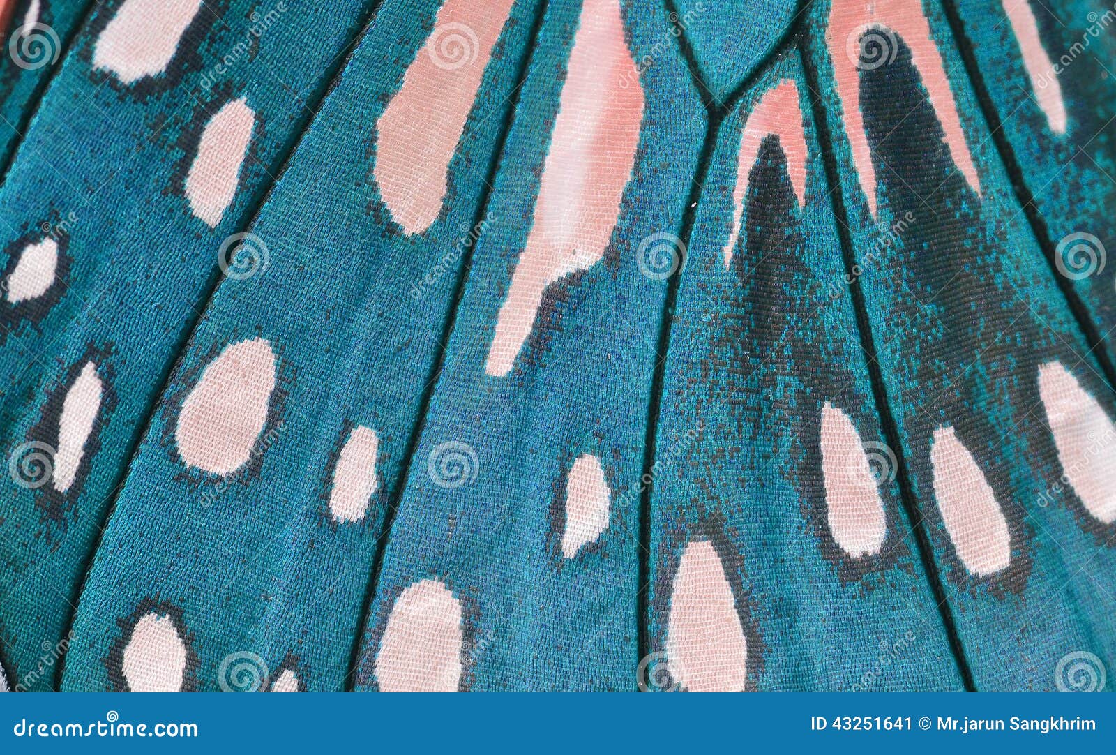 Ala della farfalla immagine stock. Immagine di particolare - 43251641