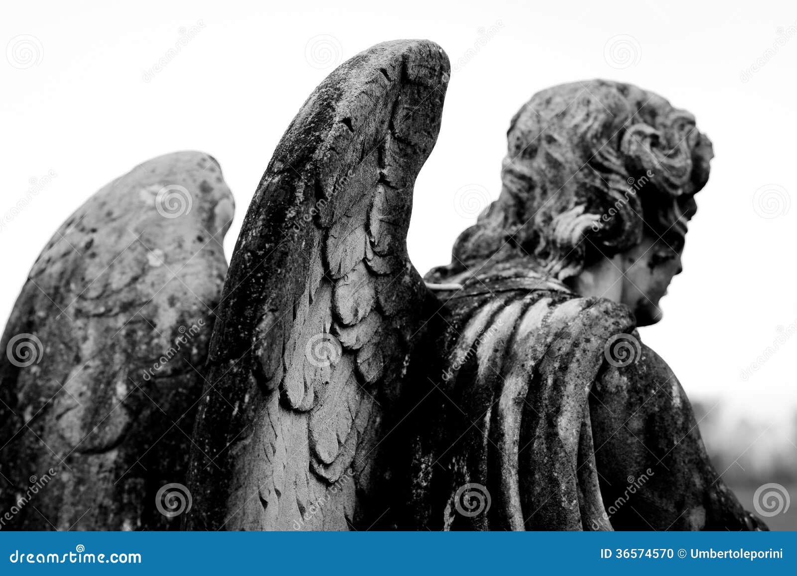 Ala di angelo fotografia stock. Immagine di religioso - 36574570