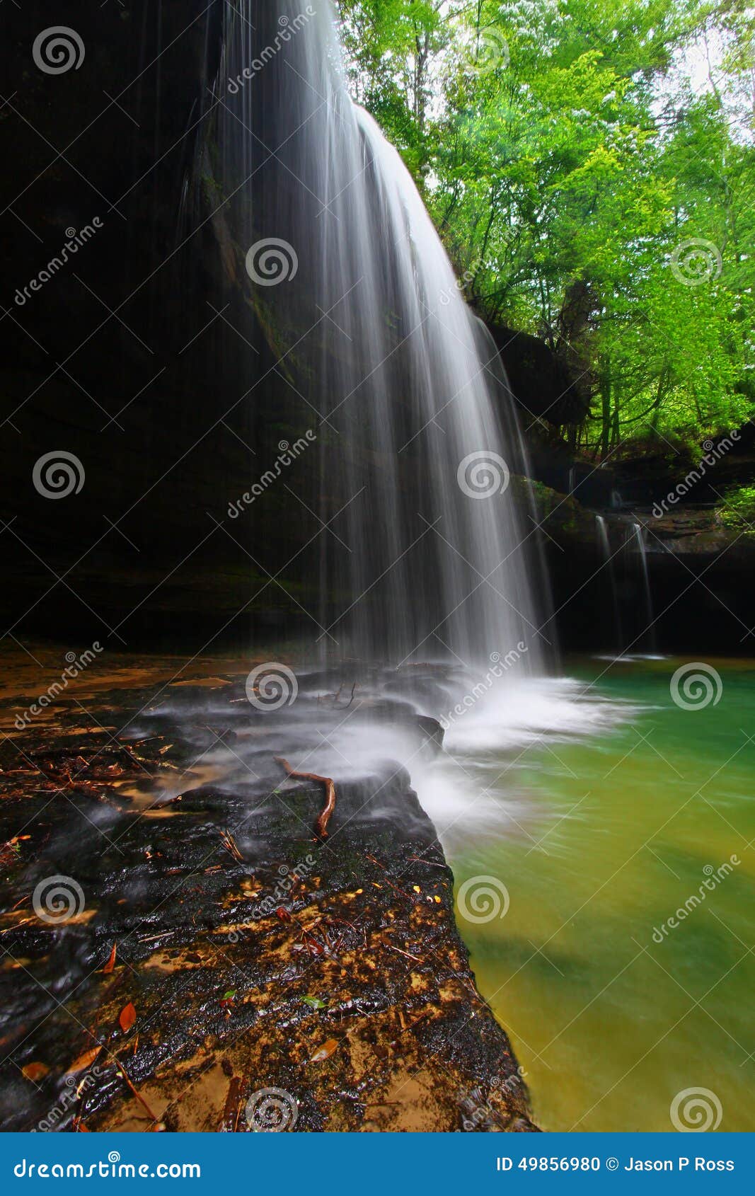Alabama Forest Waterfall Landscape Stockfoto - Bild von vereinigt ...