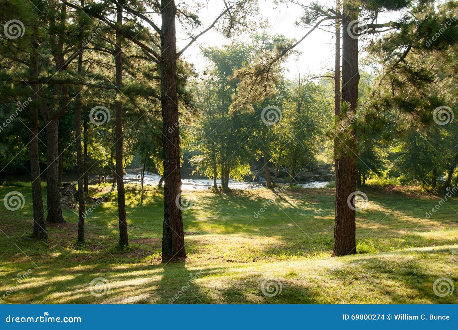 Alabama stock photo. Image of boulder, north, creek, close - 69800274
