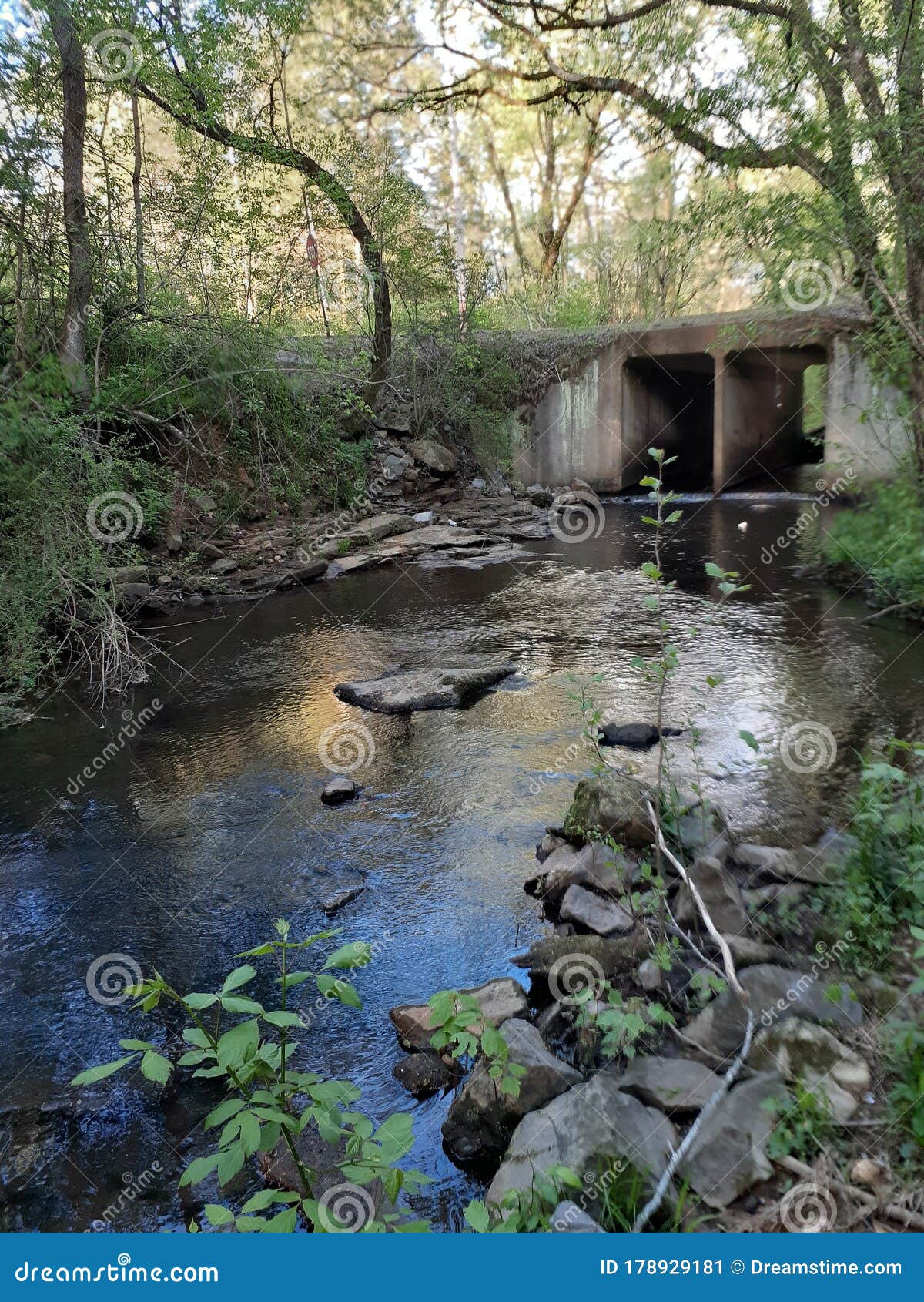 The Alabama Outdoors stock image. Image of green, rock - 178929181