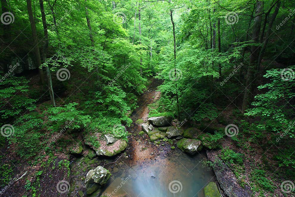Alabama Scenery stock photo. Image of ecosystem, flow - 37093768