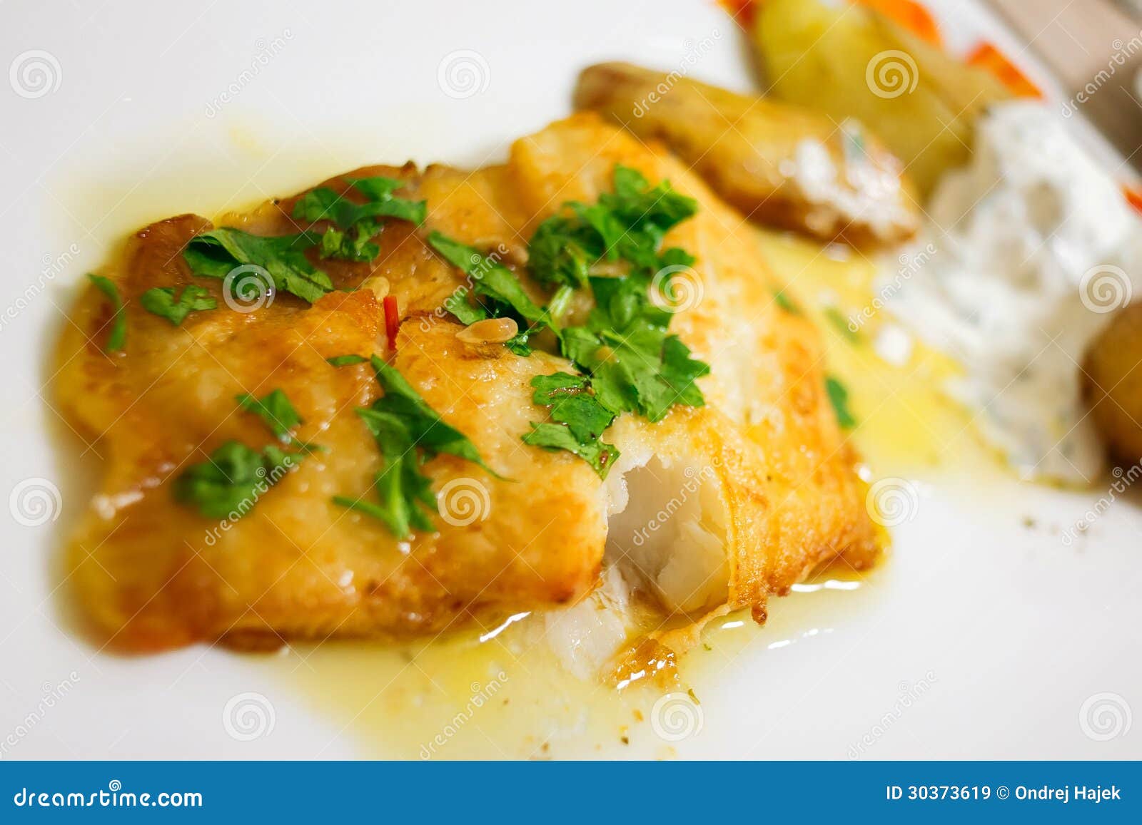 Alabote Grelhado Com Molho Do Limão Imagem de Stock - Imagem de placa ...