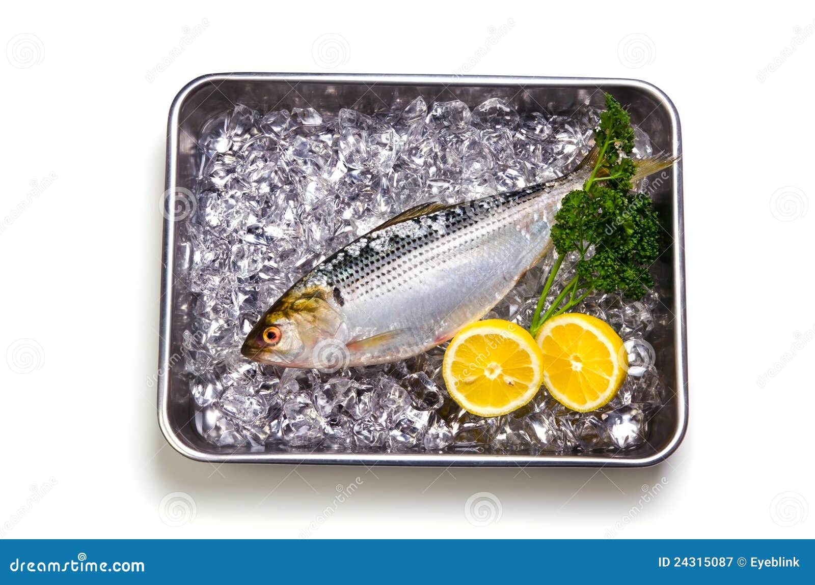 Alaccia del filetto immagine stock. Immagine di consumo - 24315087