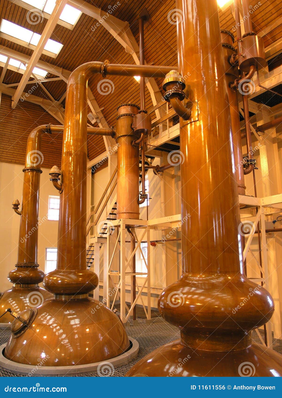 Alambicchi del whisky fotografia stock. Immagine di whisky - 11611556