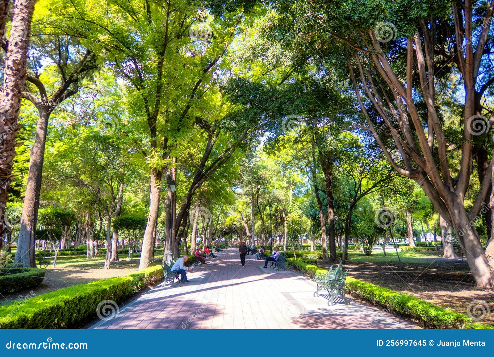 Alameda of Queretaro Mexico Stock Image - Image of park, historic ...