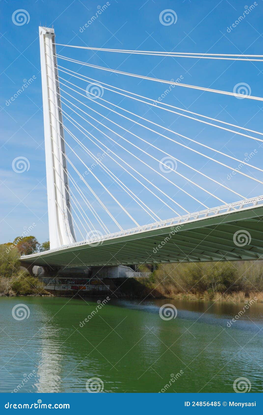 Alamillo bridge Seville editorial image. Image of engineering - 24856485