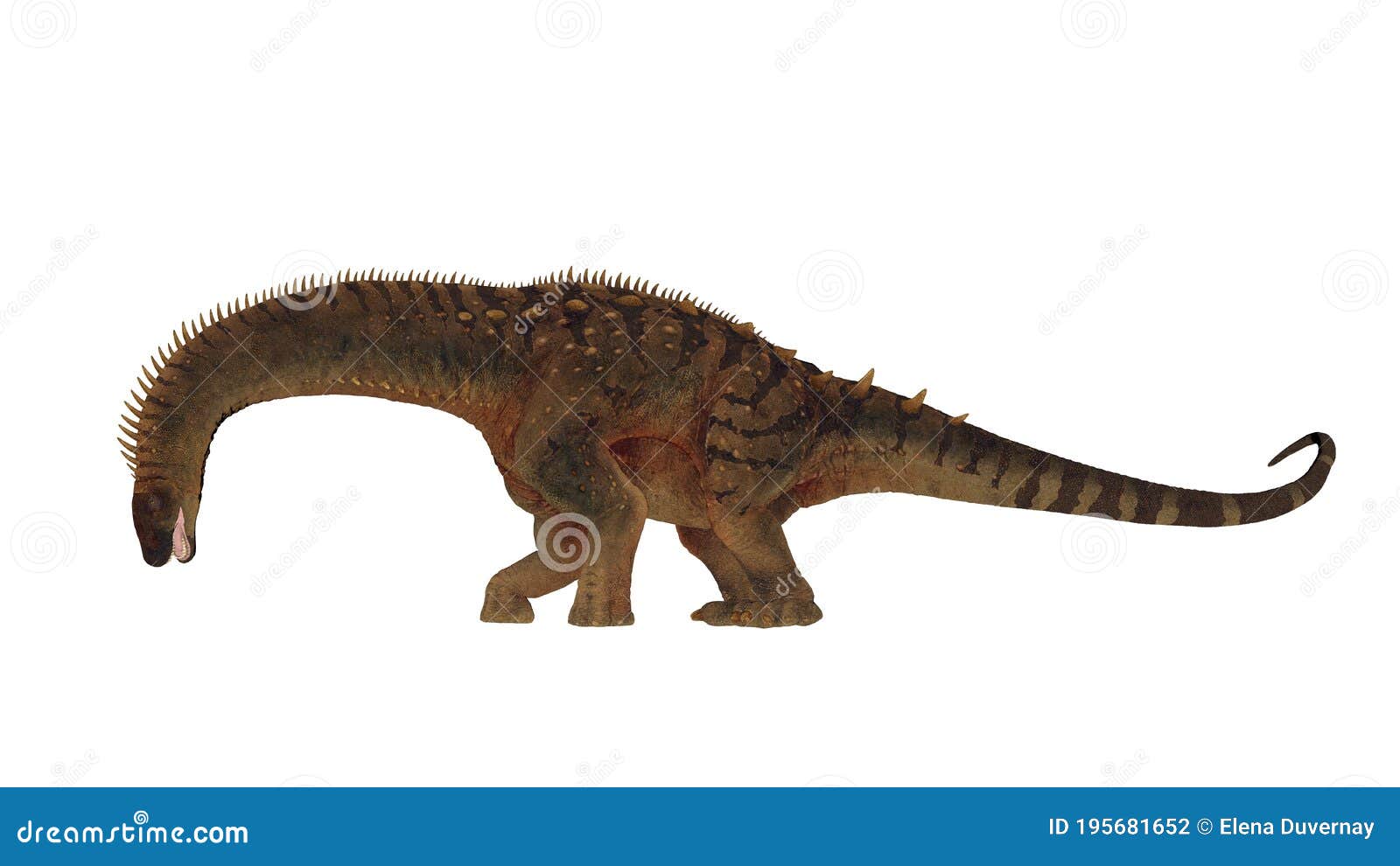 Alamosaurus Cartoons, Illustrations & Vector Stock Images - 67 Pictures ...