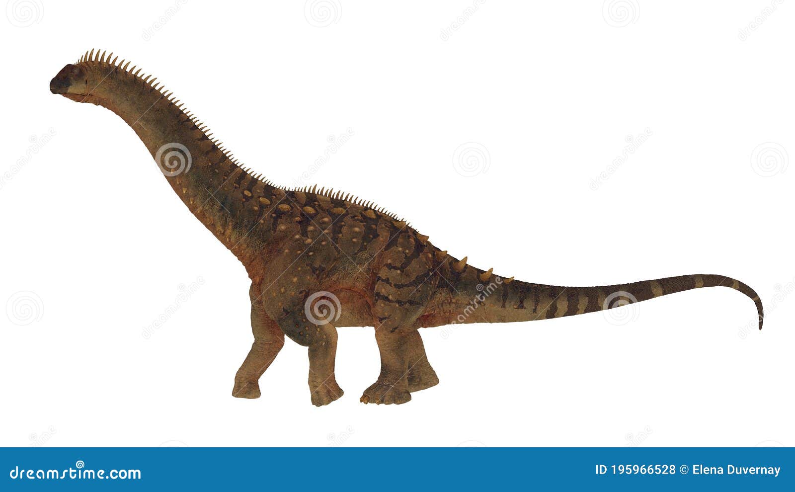 Alamosaurus Dinosaur Walking Peacefully - 3D Render Stock Illustration ...
