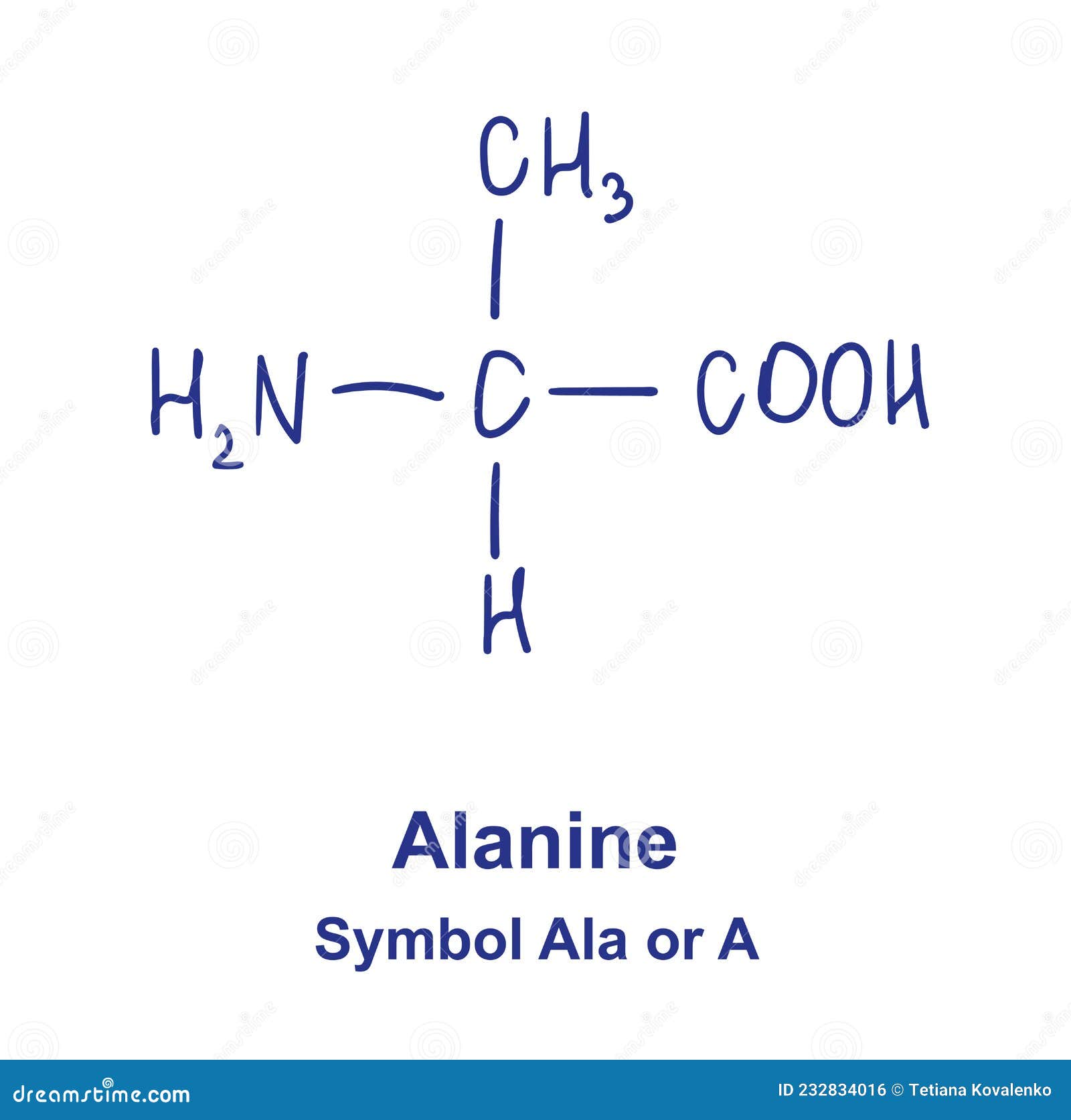 Alanine Chemical Structure. Vector Illustration Hand Drawn Stock Vector ...