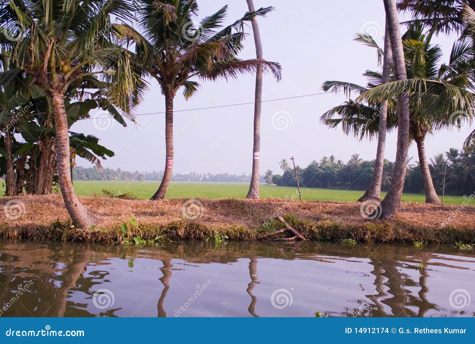 Alapuzha Backwaters Of Kerala, India Picture. Image: 14912174