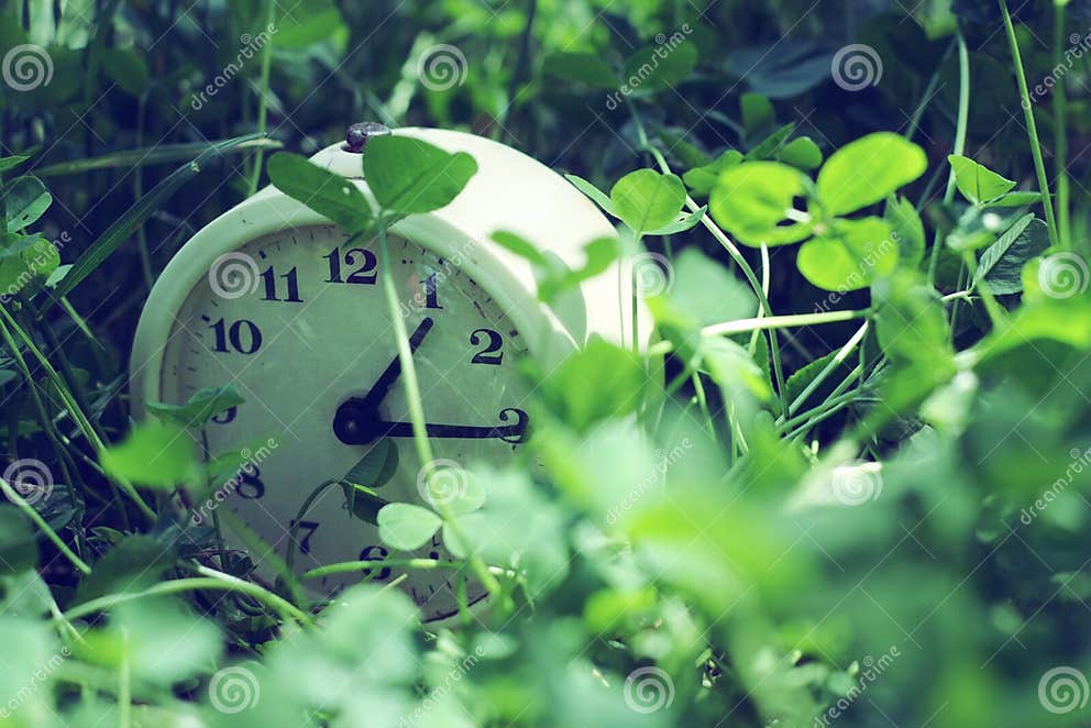 Alarm stock image. Image of clover, clock, green, nature - 22336781