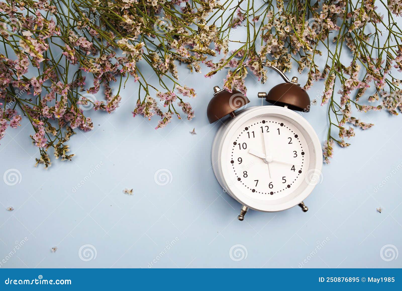 Alarm Clock and Flowers with Space Copy on Blue Background Stock Image ...