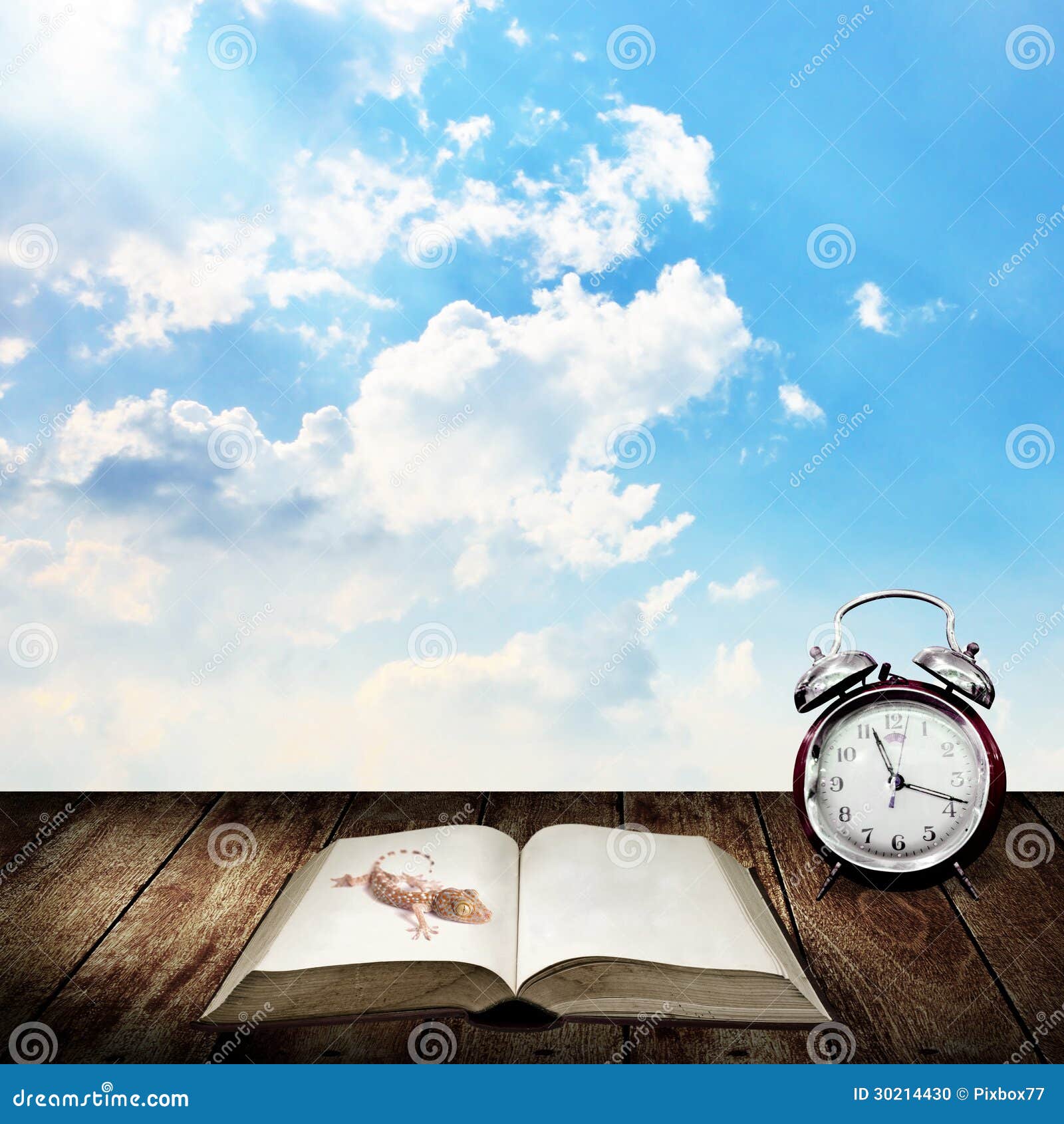 Alarm clock with gecko stock photo. Image of animal, rest - 30214430