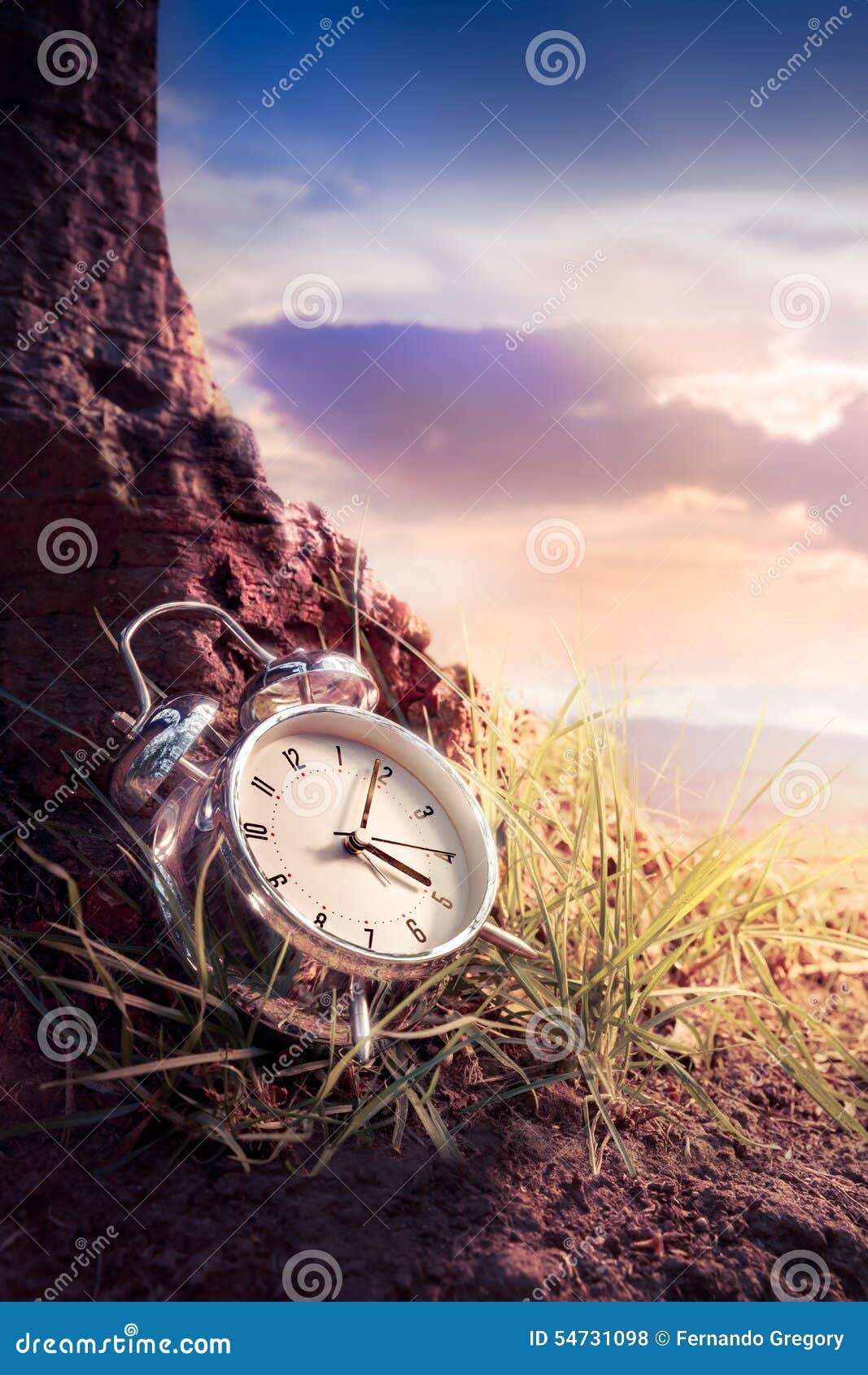 Alarm Clock on Grass at Sunset or Sunrise/ Time Concept Stock Photo ...