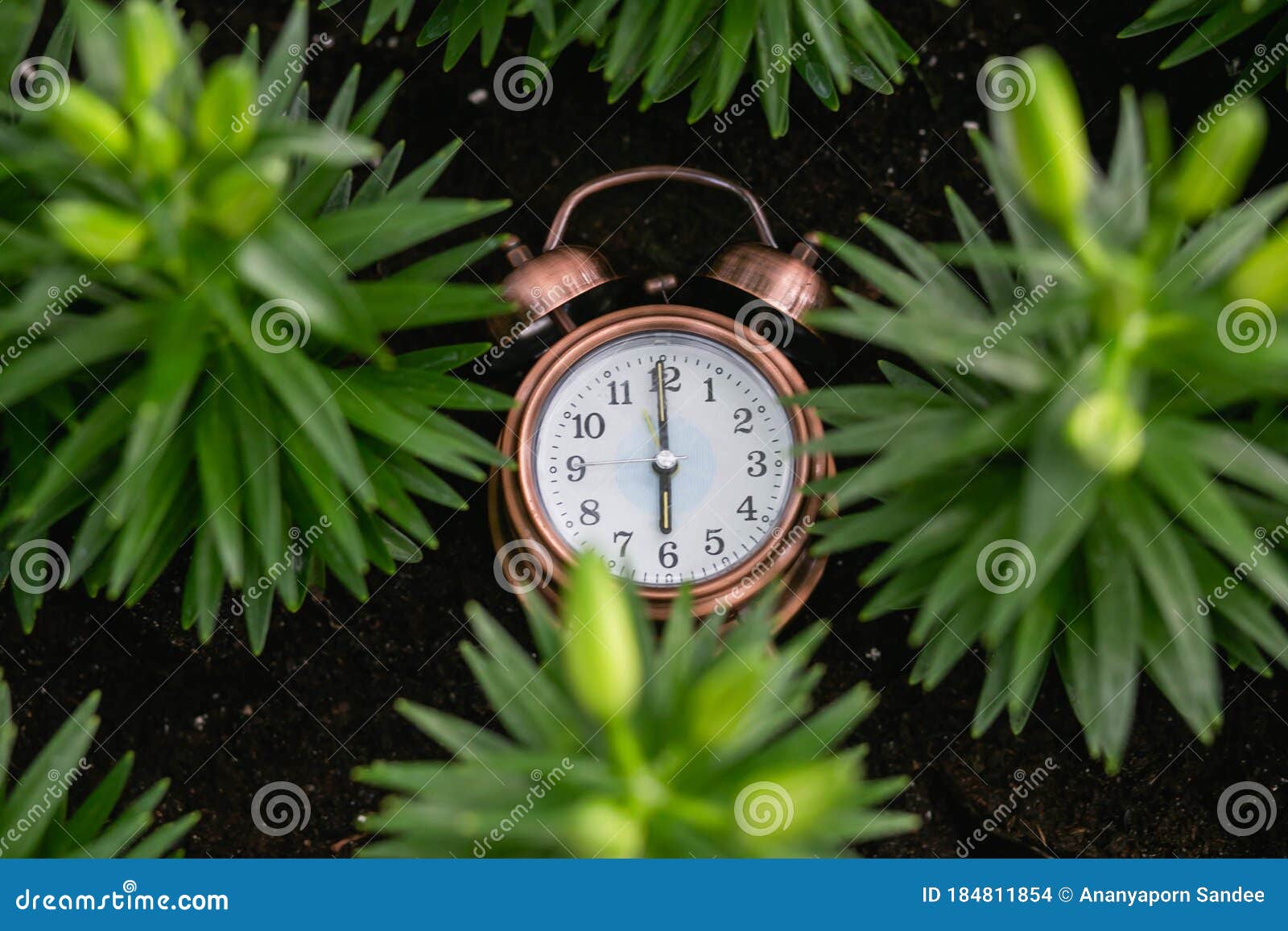 Alarm Clock Morning Wake-up Time Stock Photo - Image of countdown ...