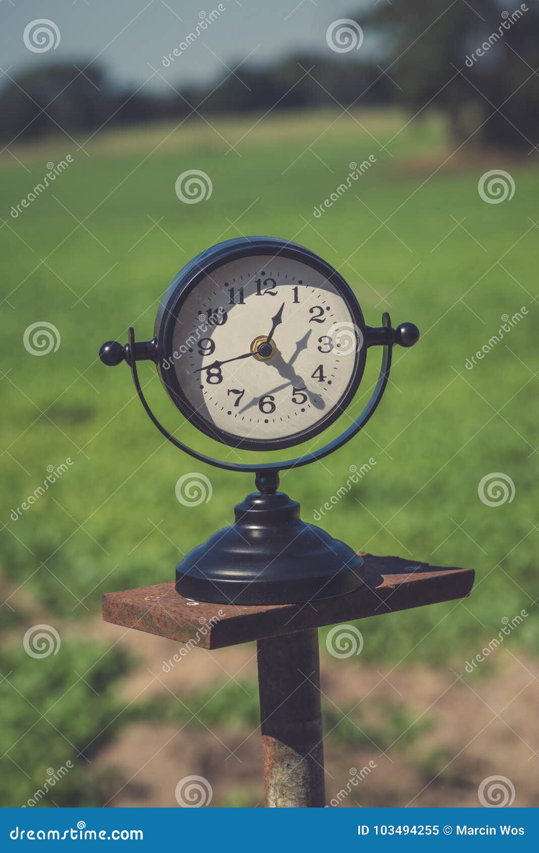 Alarm Clock in Sunlit Spring Field Stock Image - Image of bright, retro ...