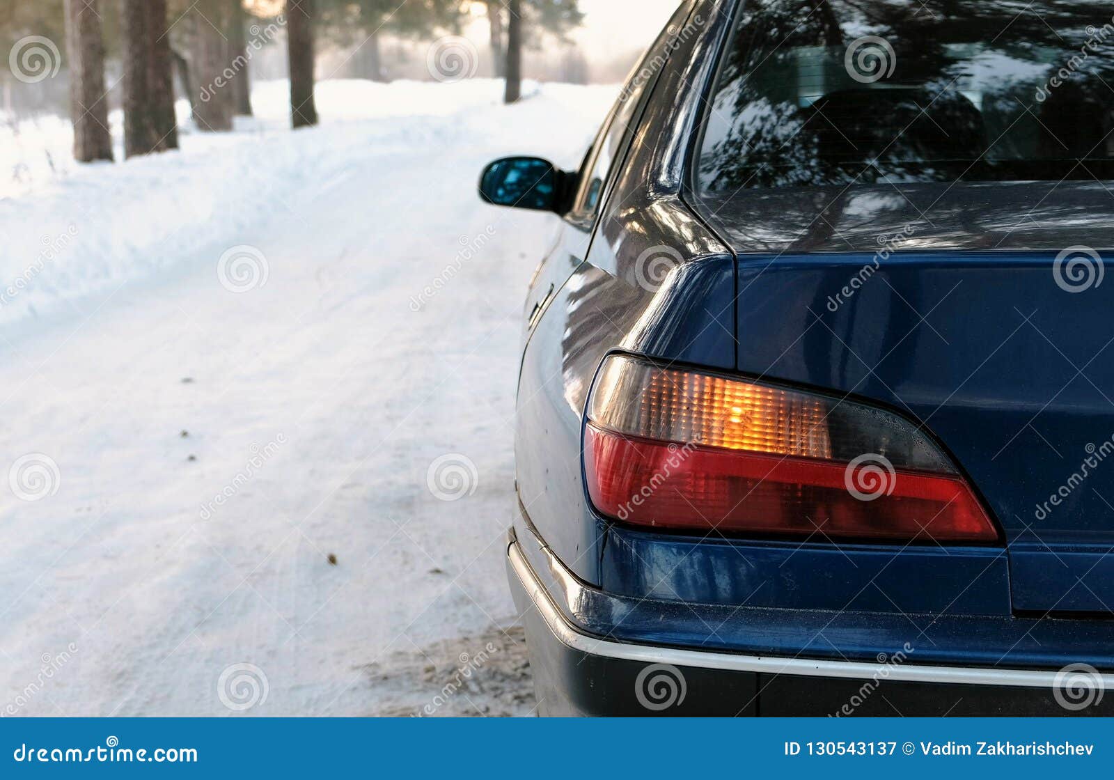 Alarm Flashes on the Left Side of the Vehicle in Winter Park. Back View ...