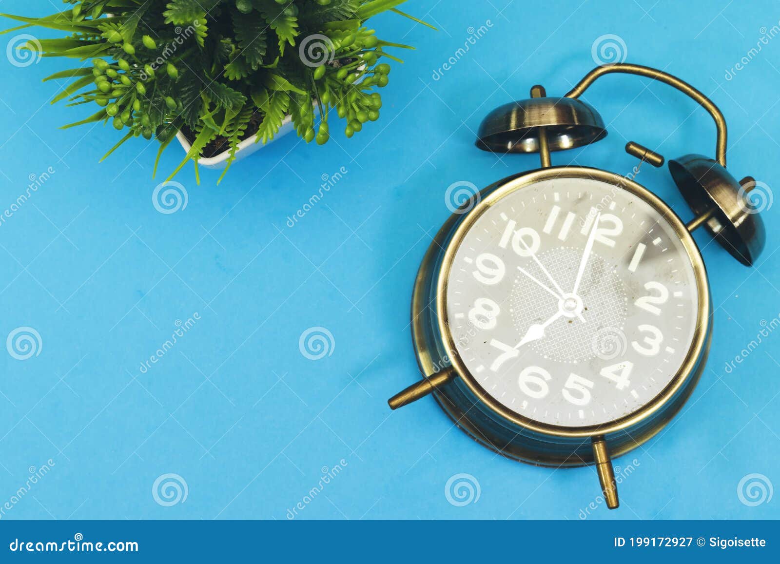 Alarm O`clock Showing 7 O`clock with Potted Plant. Stock Image - Image ...